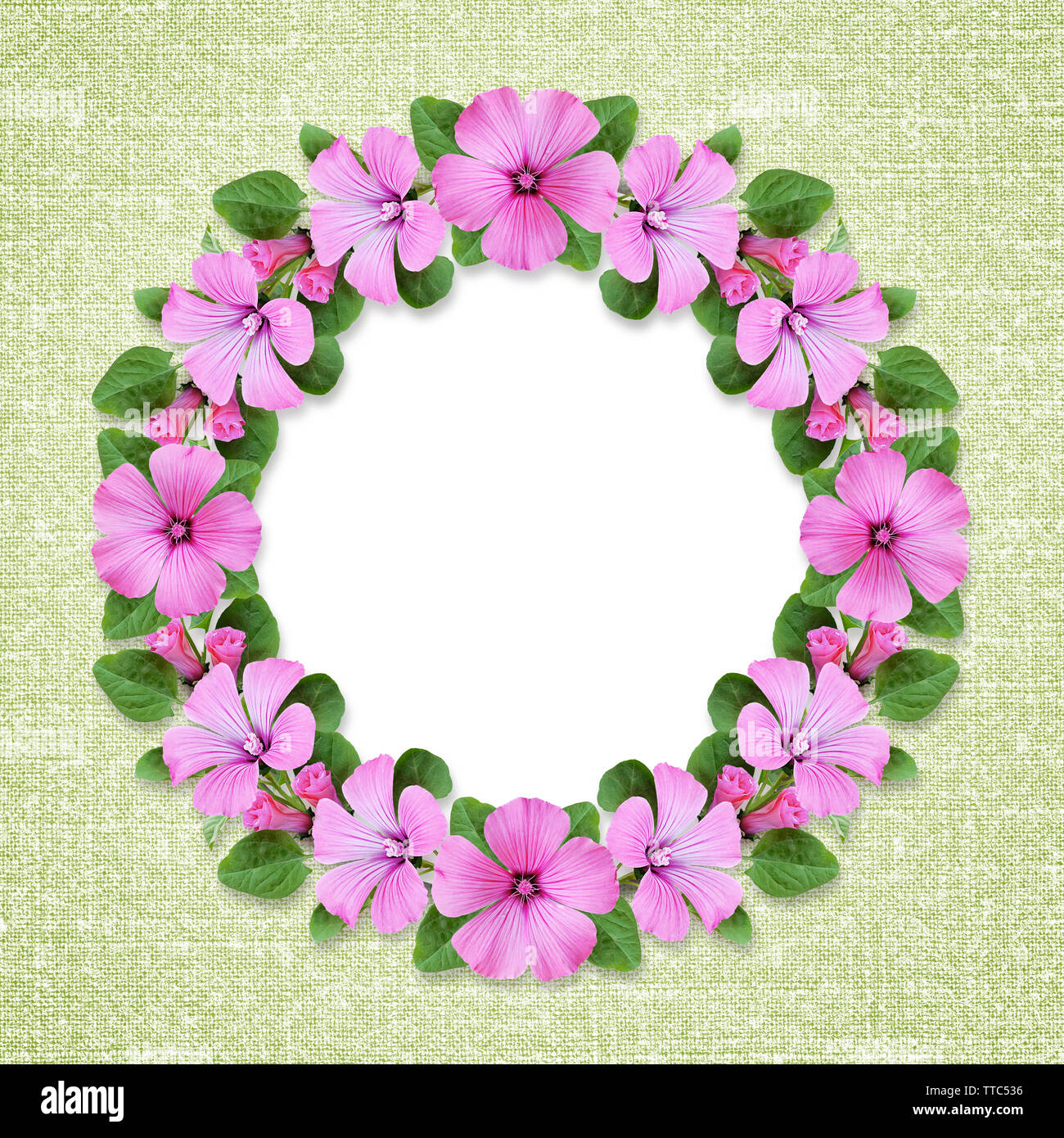Green round flowers hi-res stock photography and images - Alamy