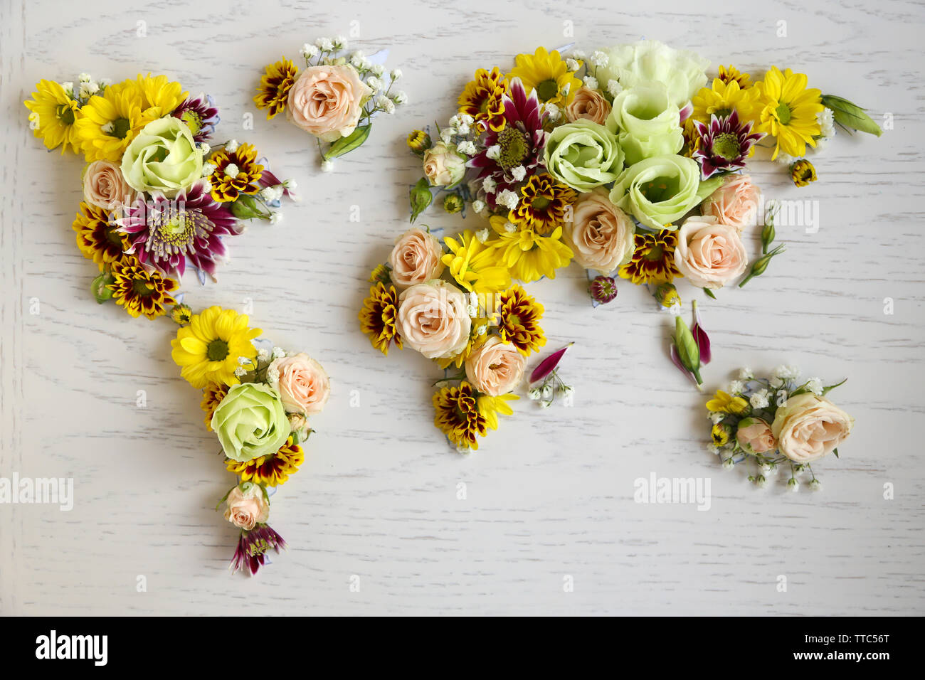 Map of world made from different kinds of flowers, close-up Stock Photo ...