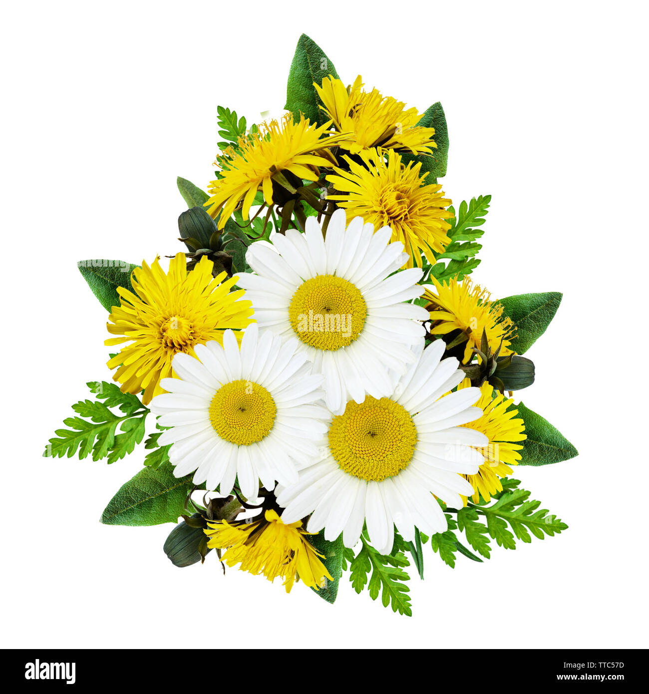 Daisy and dandelion flowers bouquet isolated on white Stock Photo - Alamy