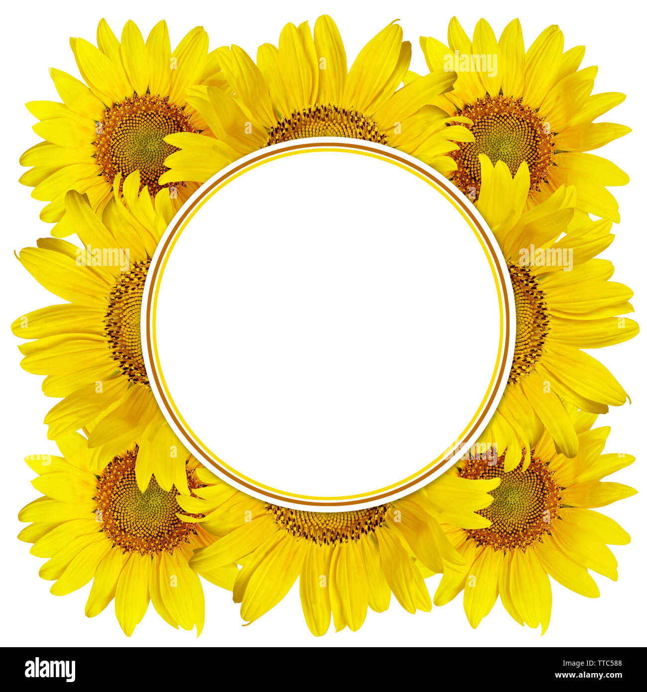 Round summer frame bright Cut Out Stock Images & Pictures - Alamy