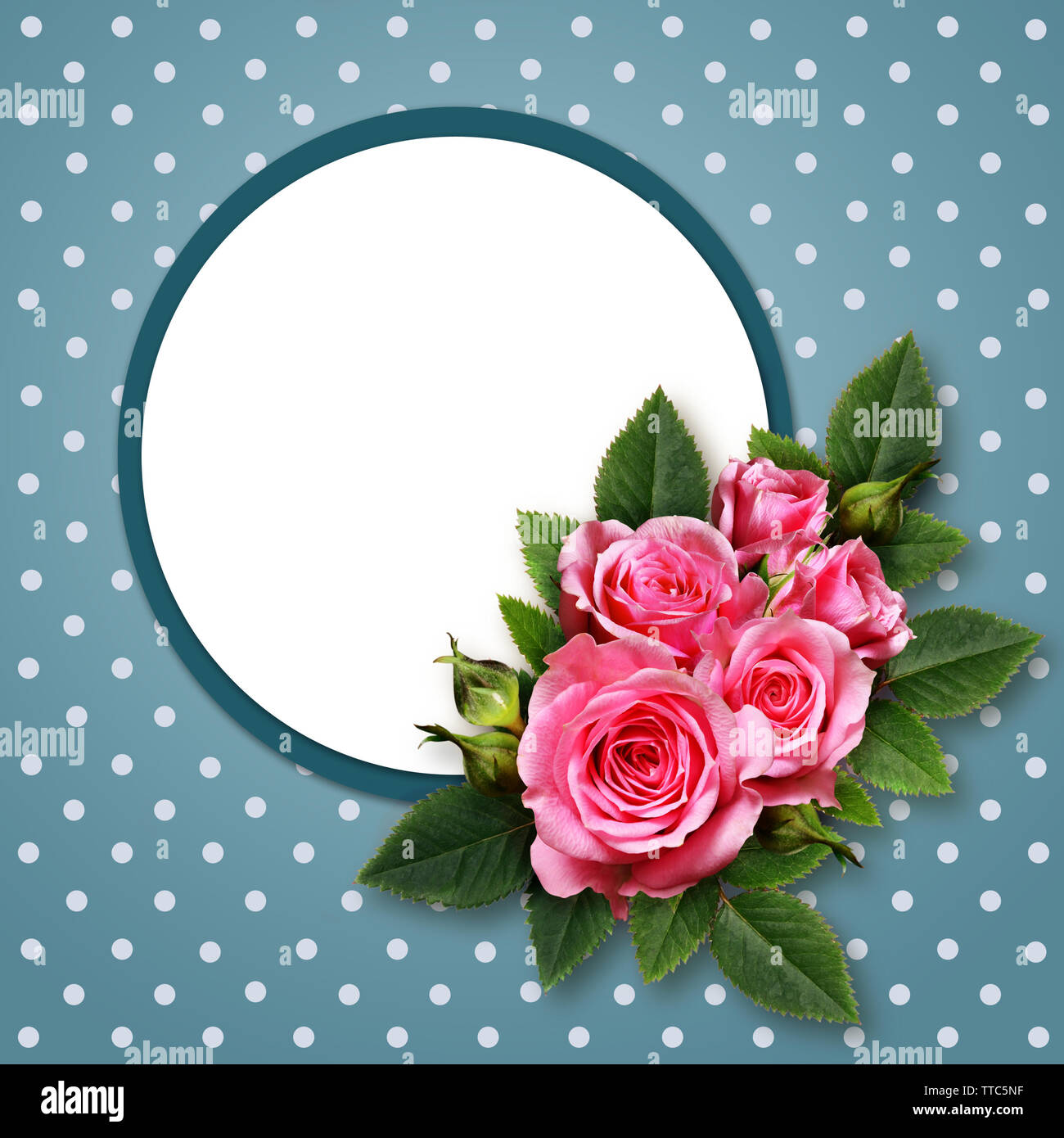 Pink rose flowers and a frame on blue spotted background Stock Photo ...