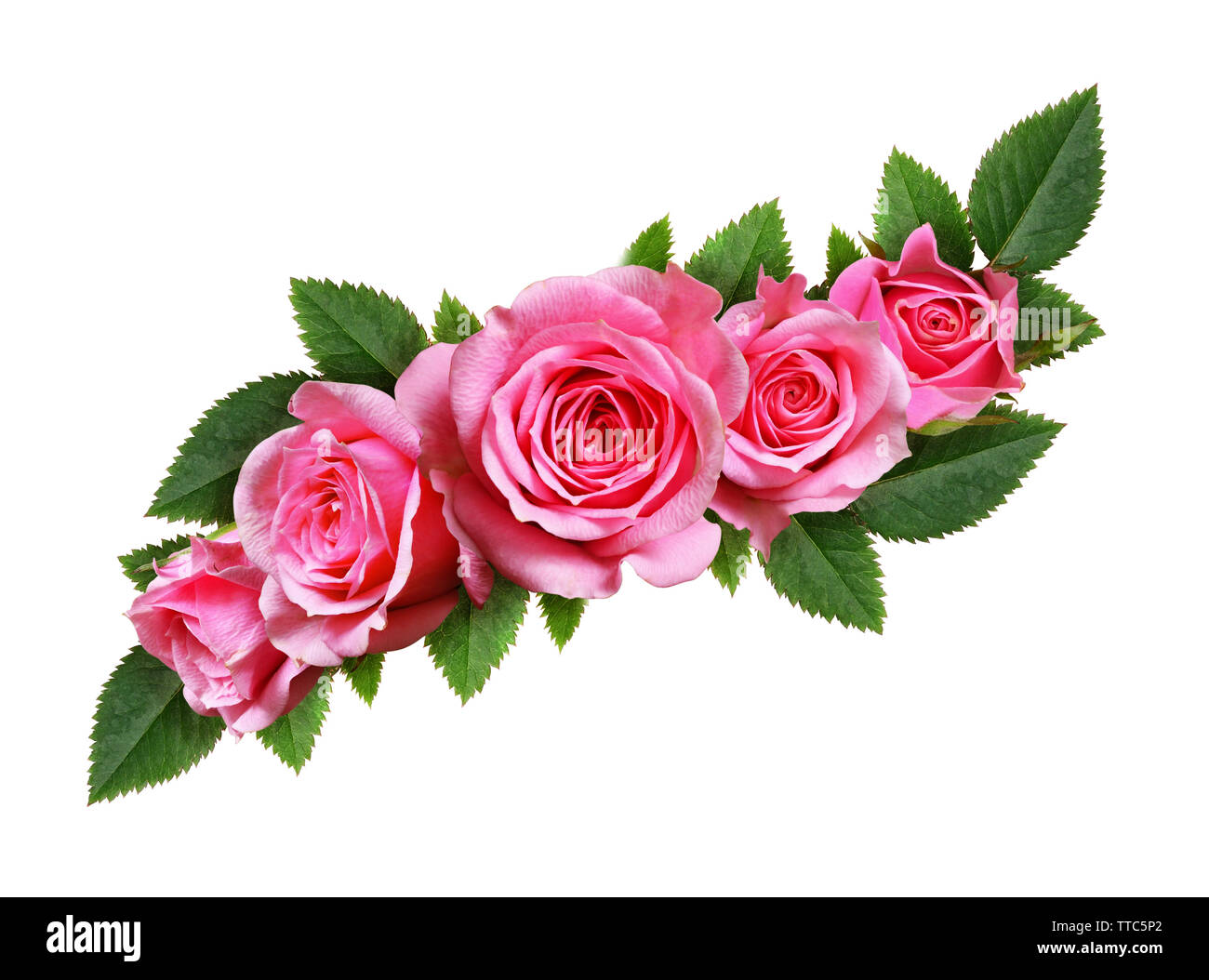 Pink rose flowers wave arrangement isolated on white Stock Photo - Alamy