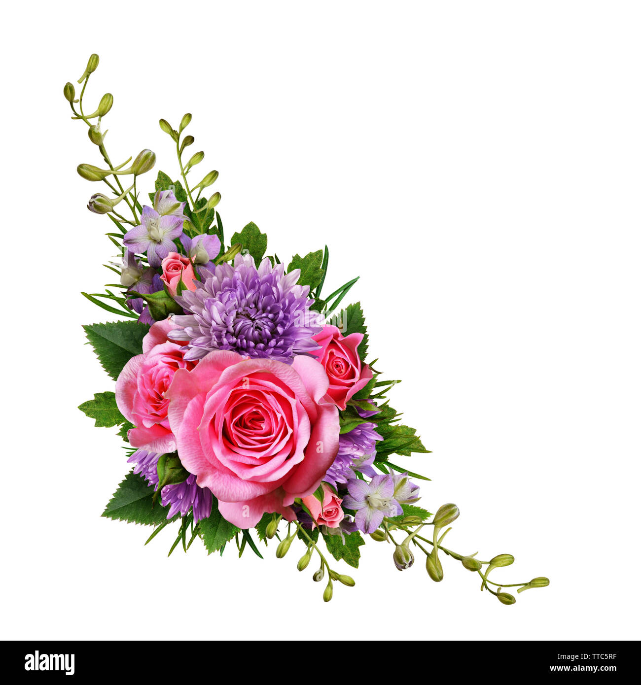 Aster and rose flowers corner arrangement isolated on white Stock Photo ...