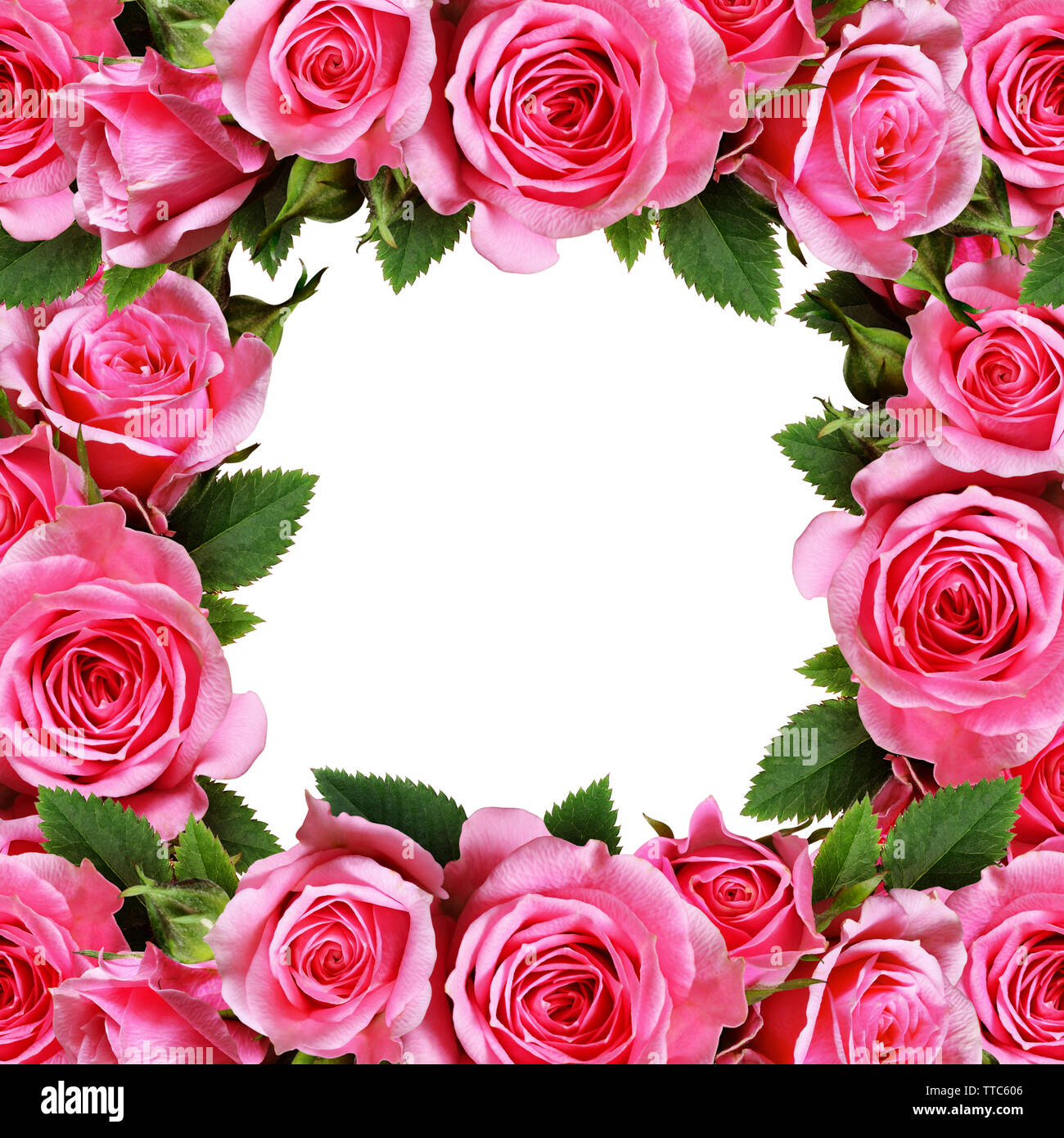 Rose flowers frame isolated on white Stock Photo - Alamy