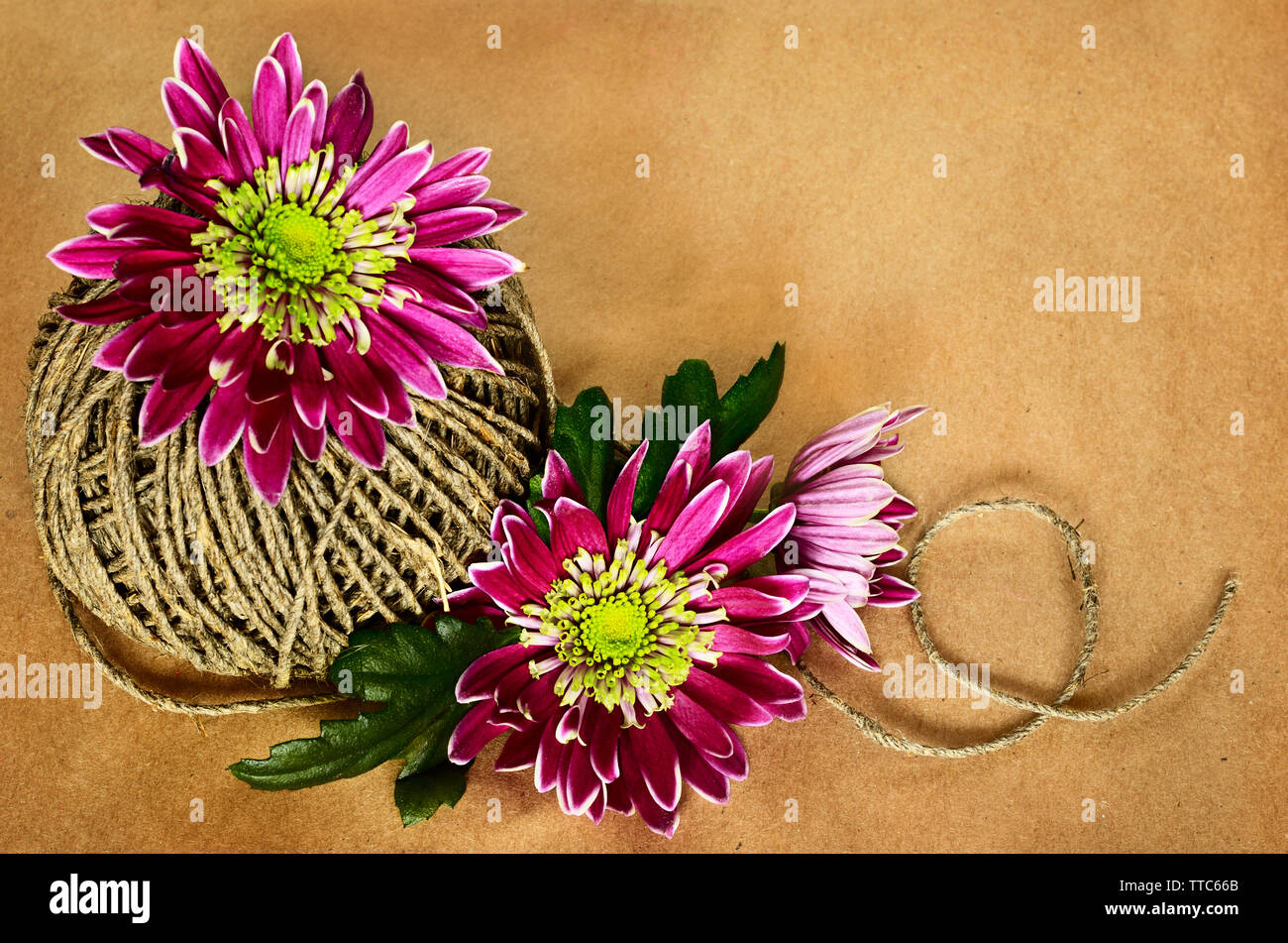 Chrysanthemum flowers and a rope on craft paper background Stock Photo ...