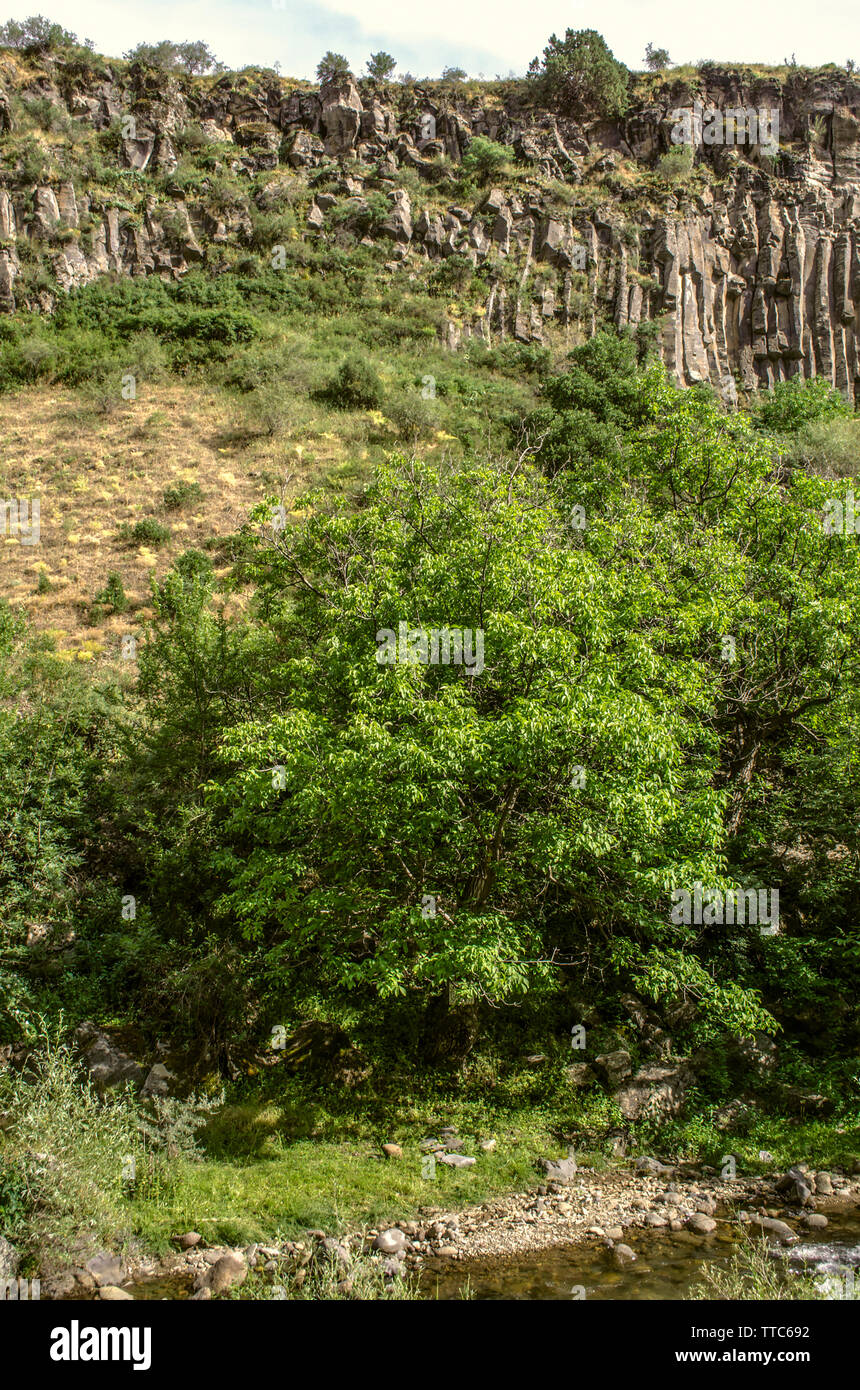 Canyon basalt wall near the shore of the Azat river among the trees and ...