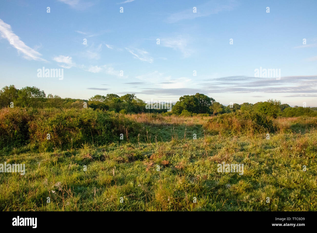 Knepp estate view hi-res stock photography and images - Alamy