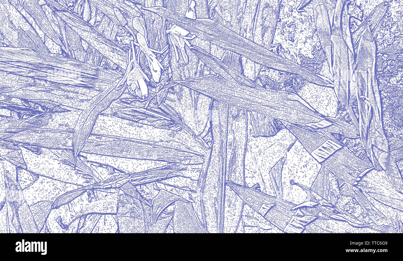 texture of blue tropical plants on white background Stock Photo - Alamy