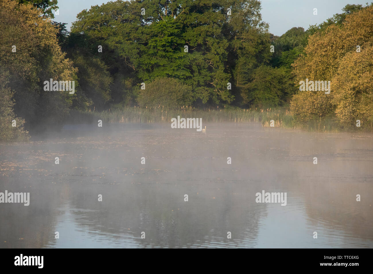 Knepp estate view hi-res stock photography and images - Alamy