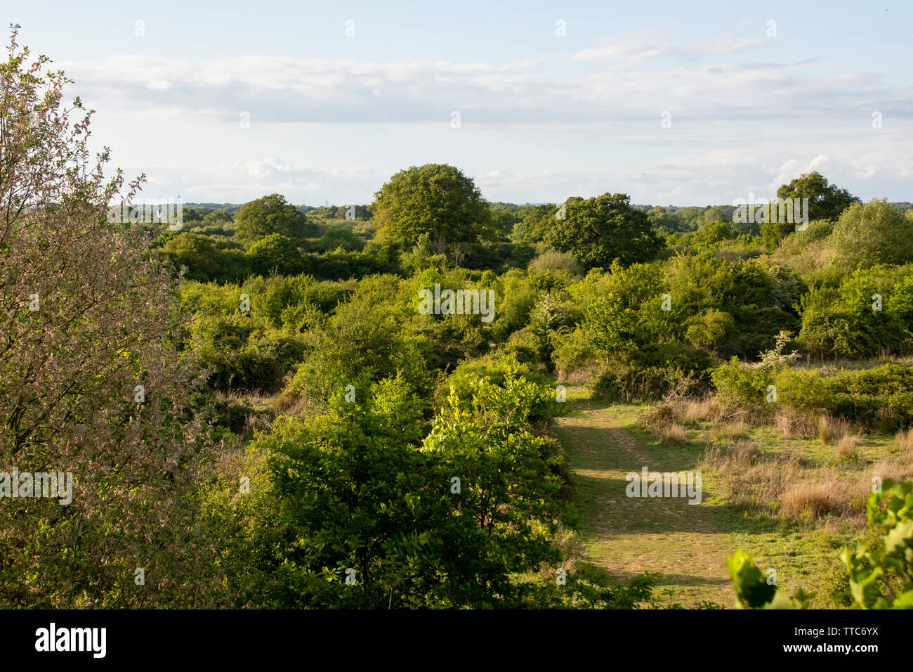 Knepp estate view hi-res stock photography and images - Alamy