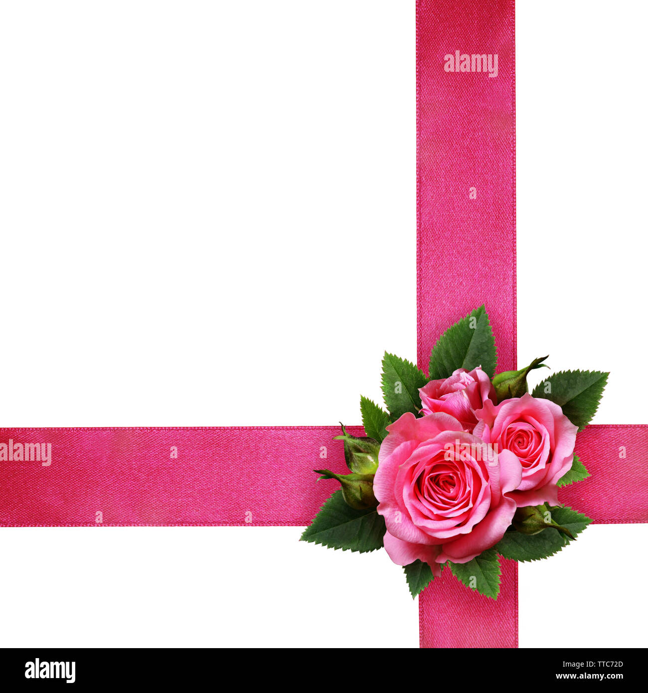 Pink rose flowers composition and ribbons isolated on white Stock Photo ...