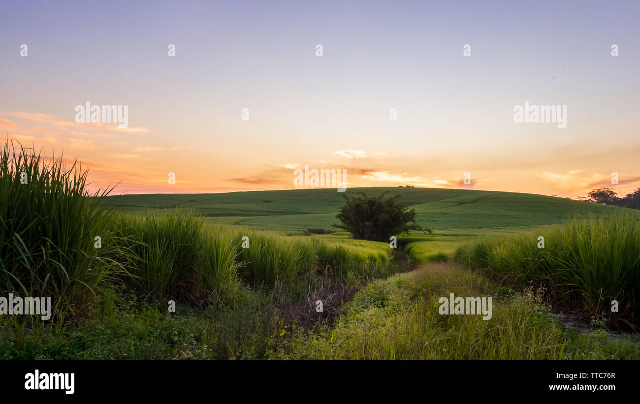 Durban, Nature, Sunrise, Sunset Stock Photo - Alamy