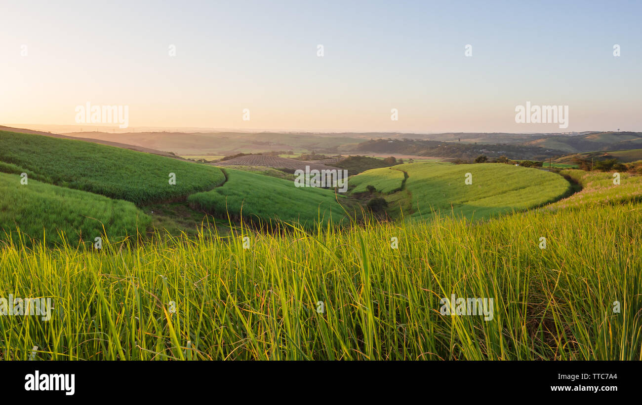 Durban, Nature, Sunrise, Sunset Stock Photo - Alamy