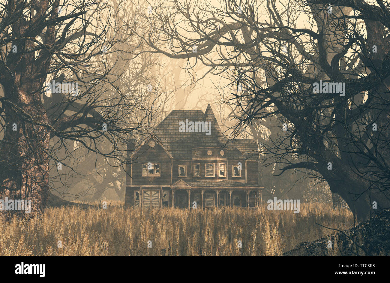 haunted house scene in creepy forest,3d illustration Stock Photo - Alamy
