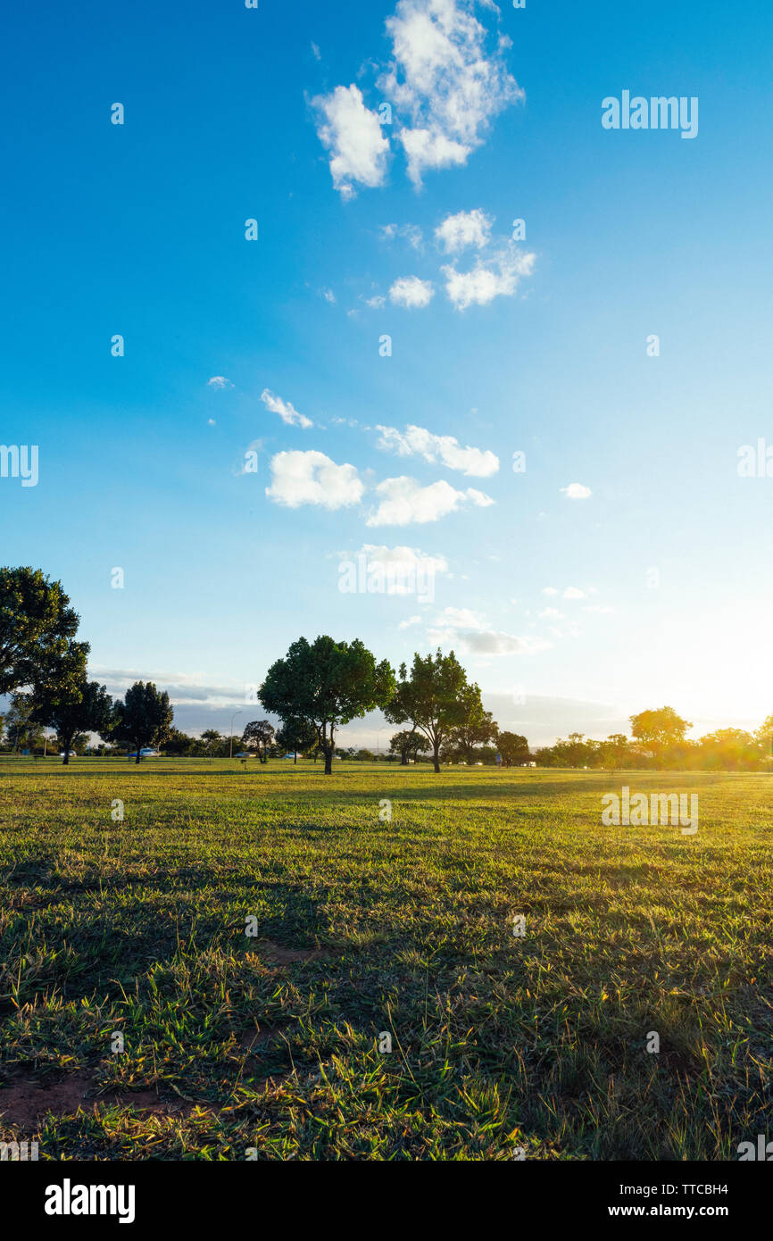 Open field at sunset hi-res stock photography and images - Alamy