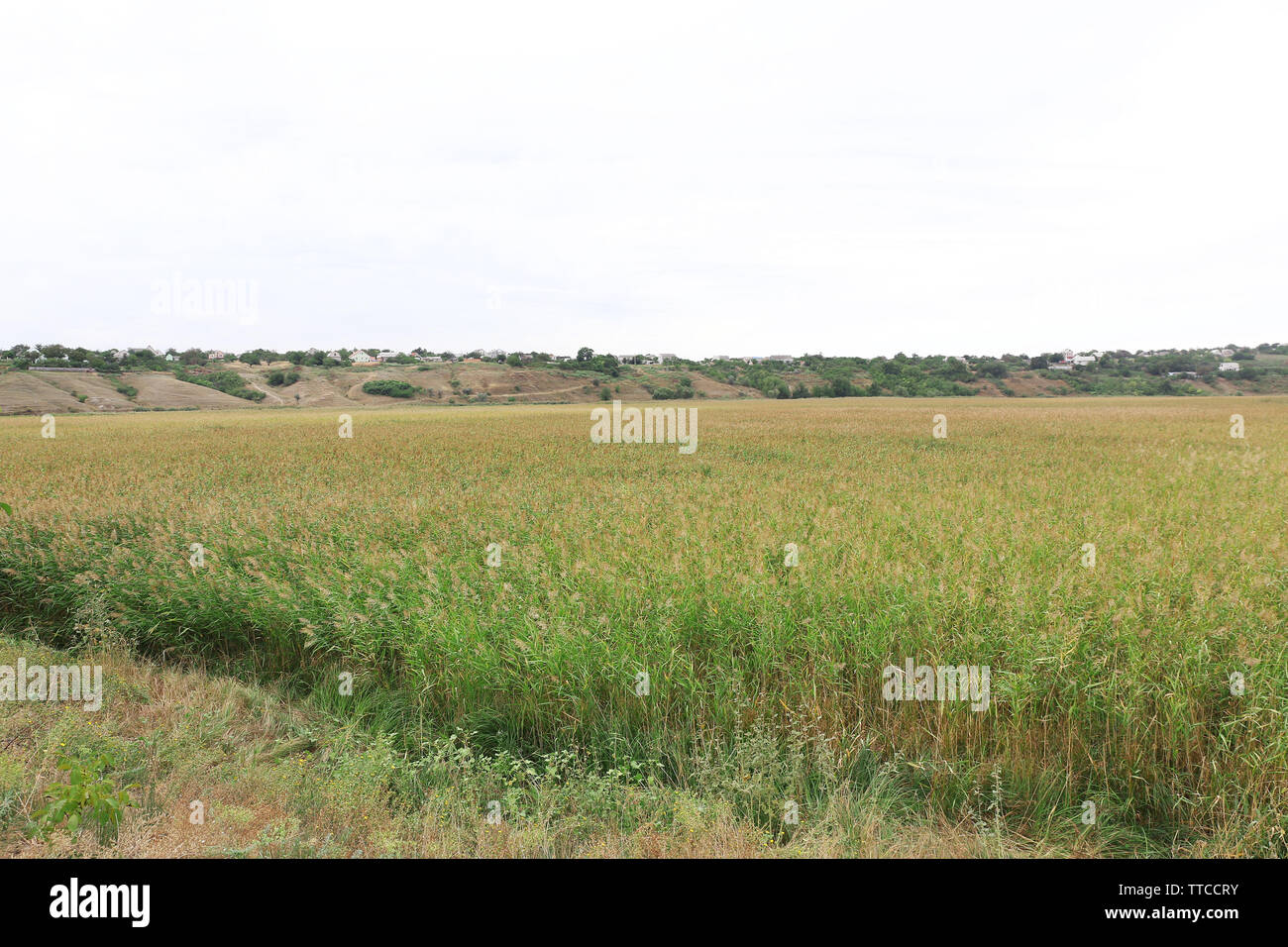 Beautiful field view Stock Photo - Alamy