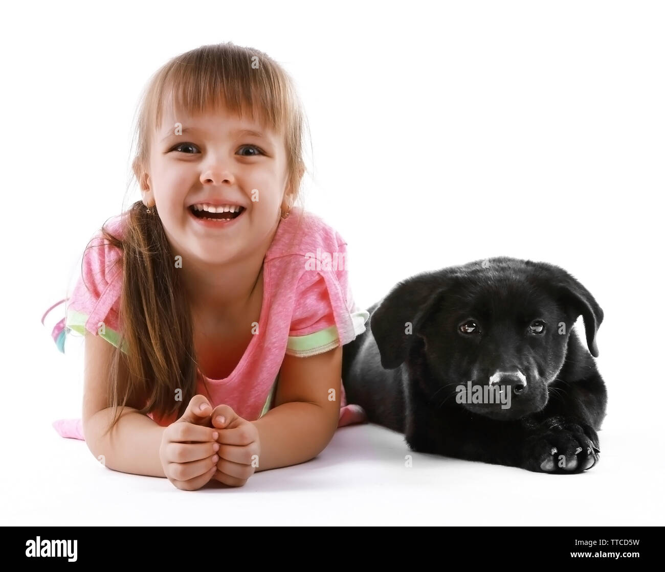 Little cute girl with puppy isolated on white Stock Photo - Alamy