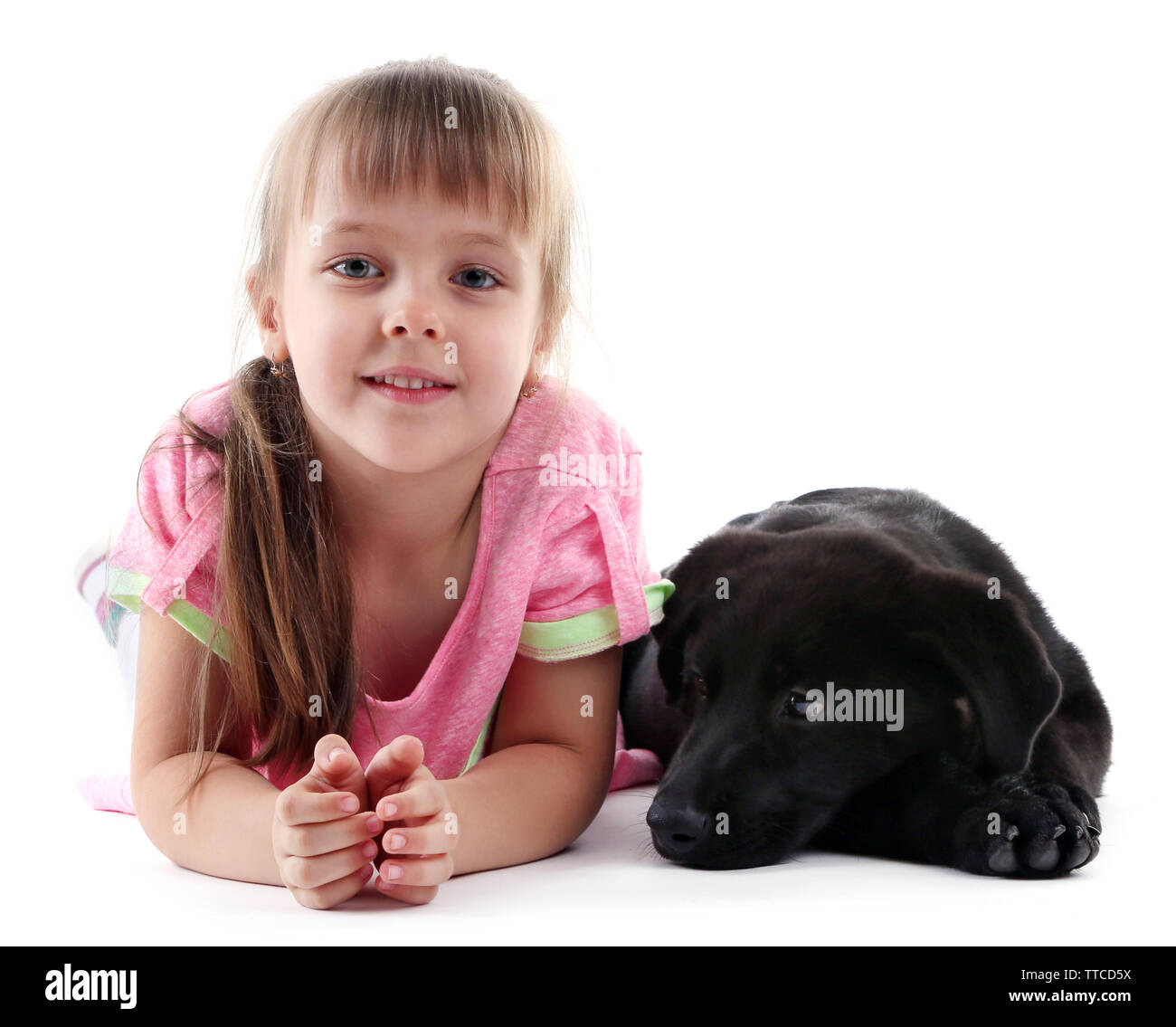 Little cute girl with puppy isolated on white Stock Photo - Alamy