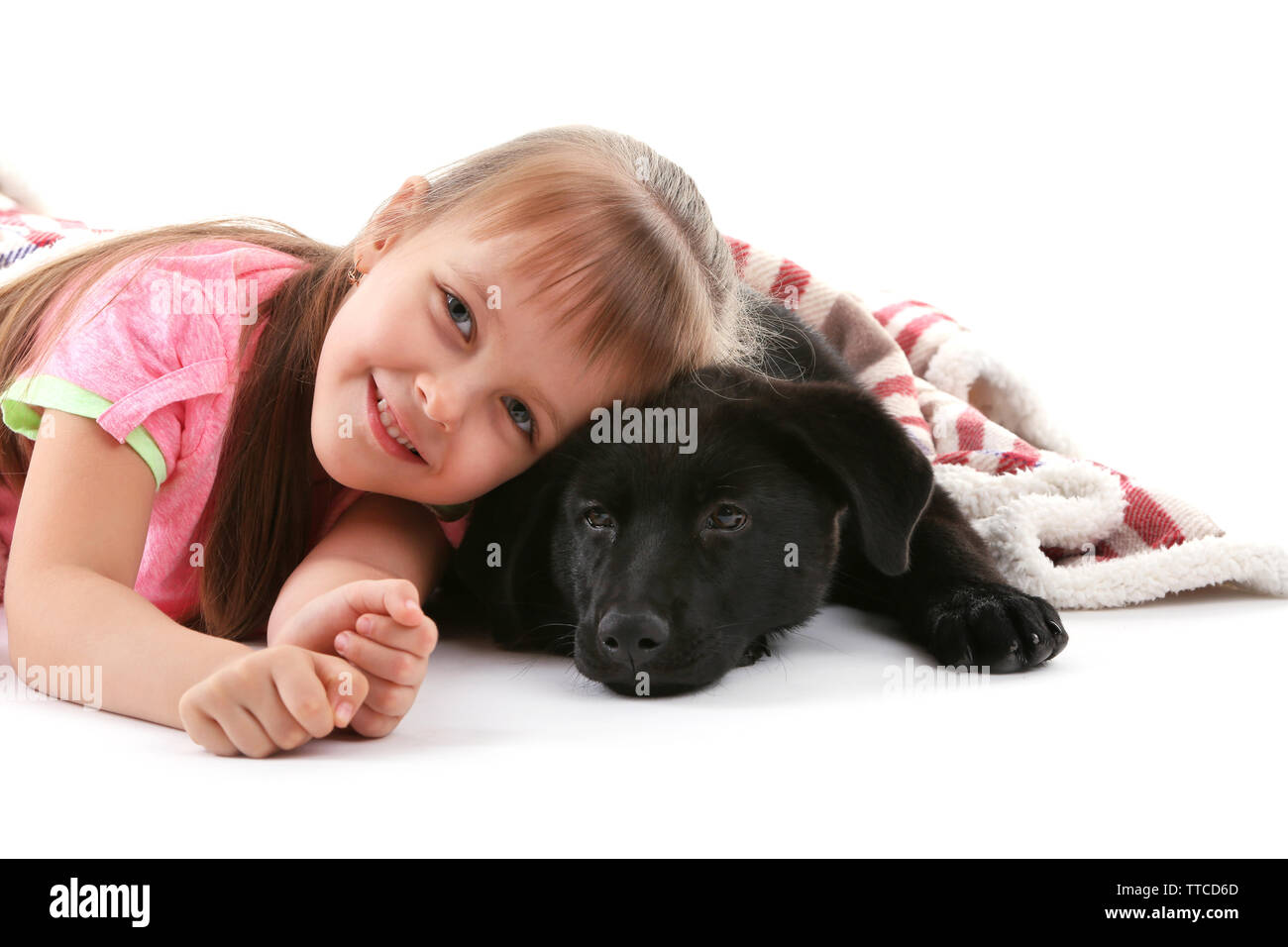 Little cute girl with puppy isolated on white Stock Photo - Alamy