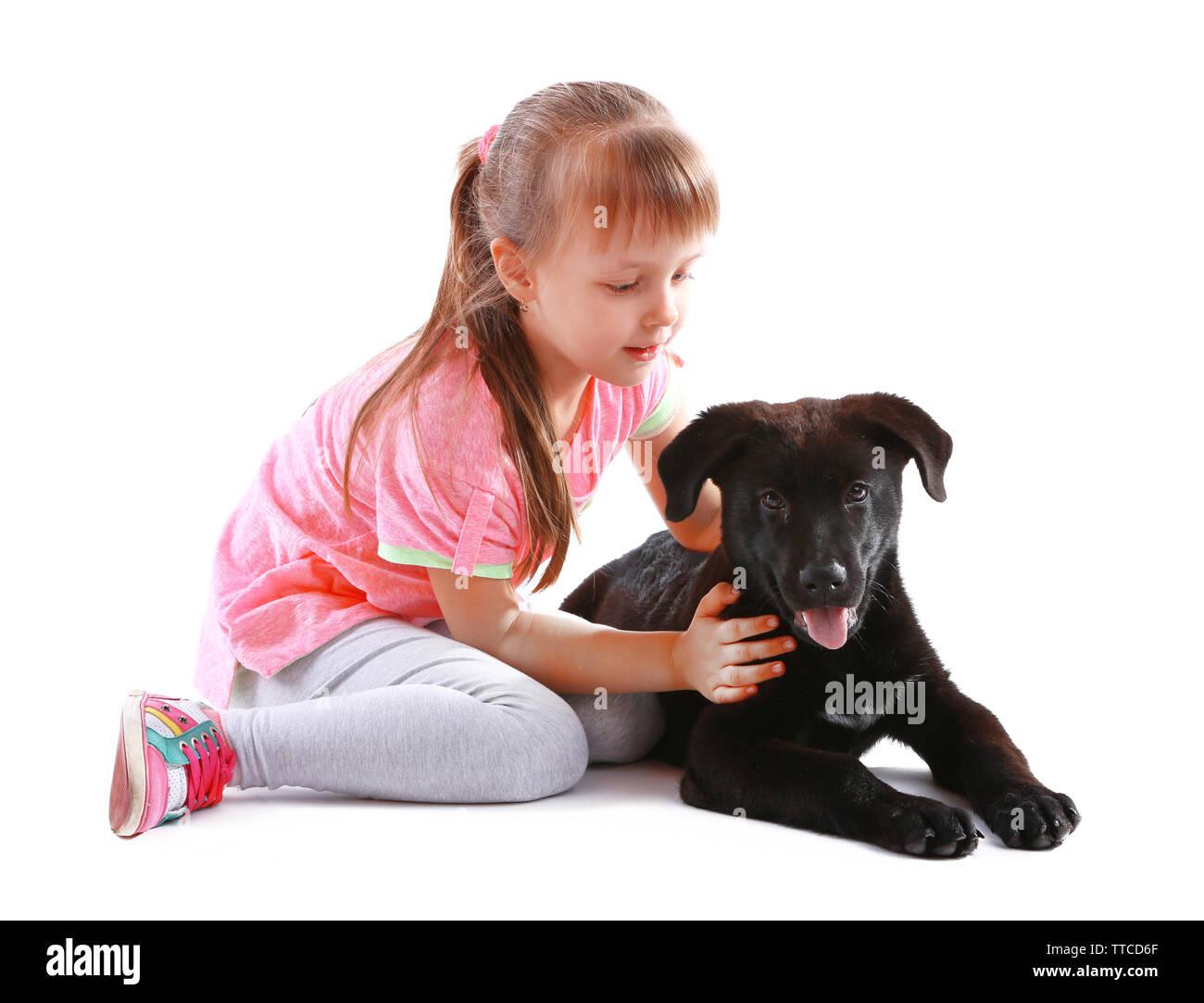 Little cute girl with puppy isolated on white Stock Photo - Alamy