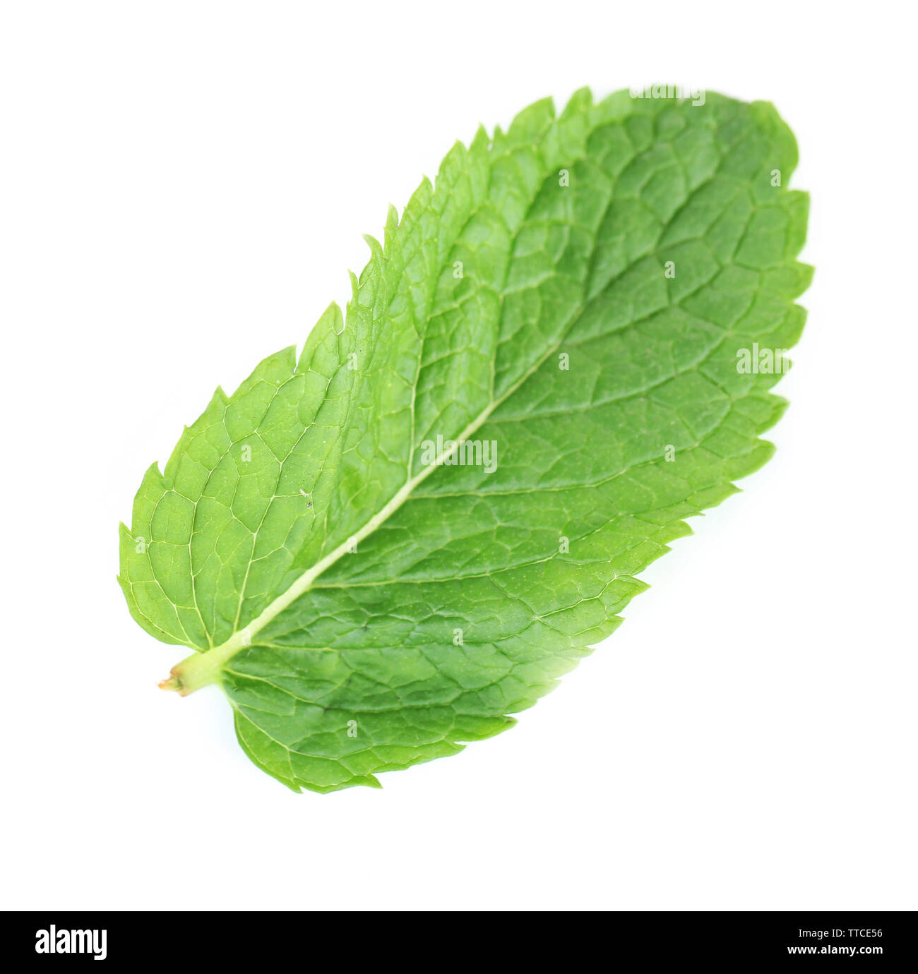 Fresh mint leaf isolated on white, close up Stock Photo - Alamy