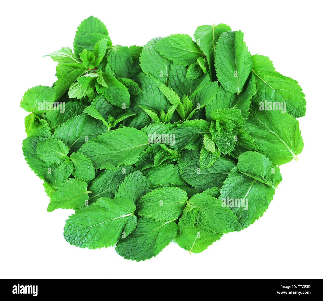 Pile of fresh mint isolated on white Stock Photo - Alamy
