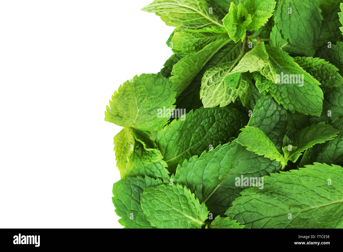 Pile of fresh mint isolated on white Stock Photo - Alamy