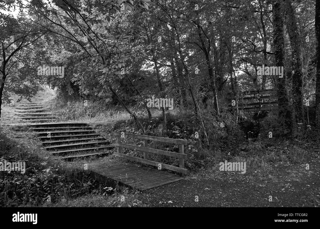 Ditch Black and White Stock Photos & Images - Alamy