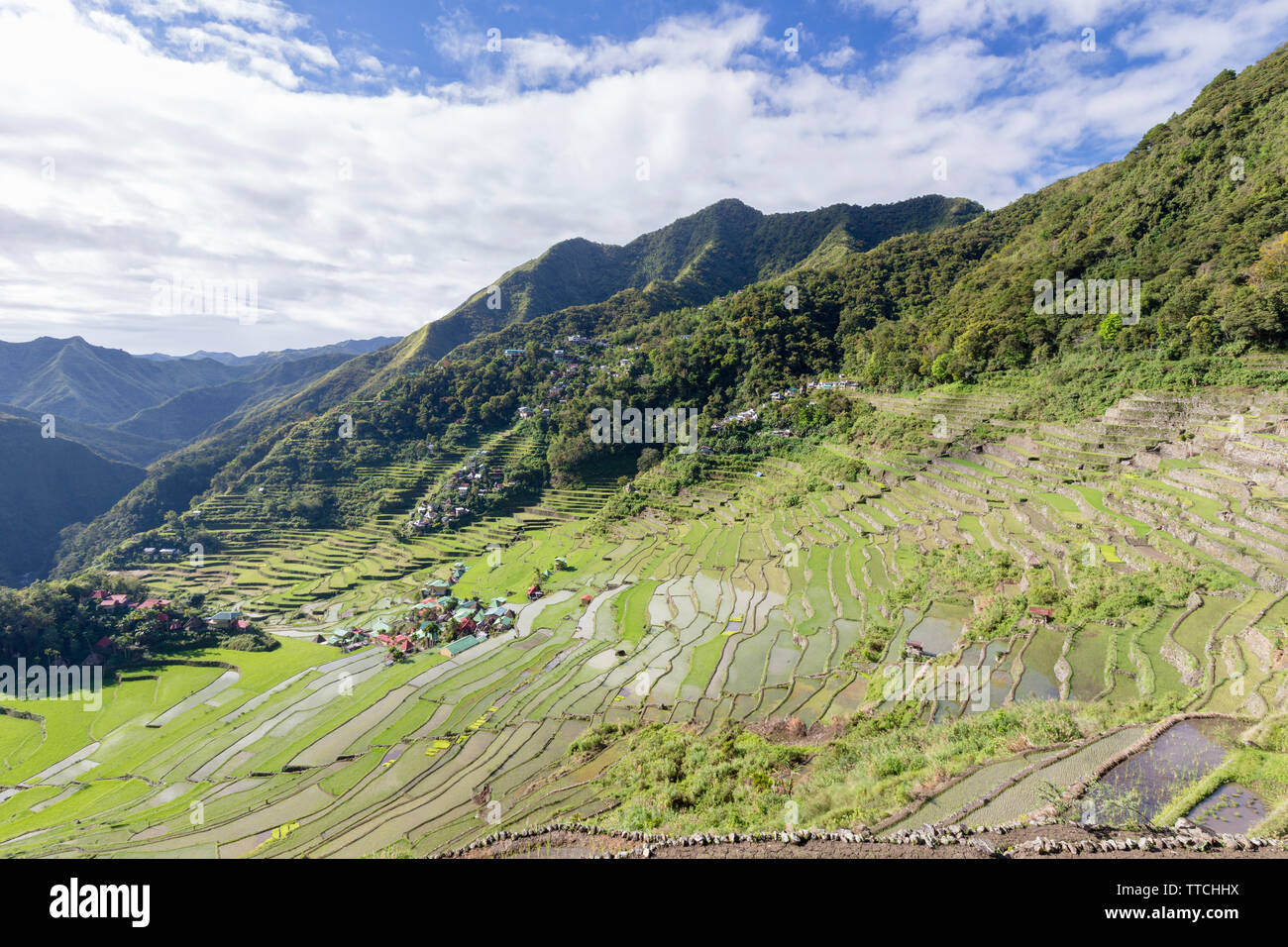 Batad rice terraces, near Banaue, Philippines Stock Photo - Alamy