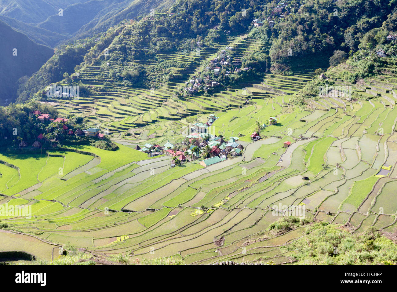 Batad rice terraces, near Banaue, Philippines Stock Photo - Alamy