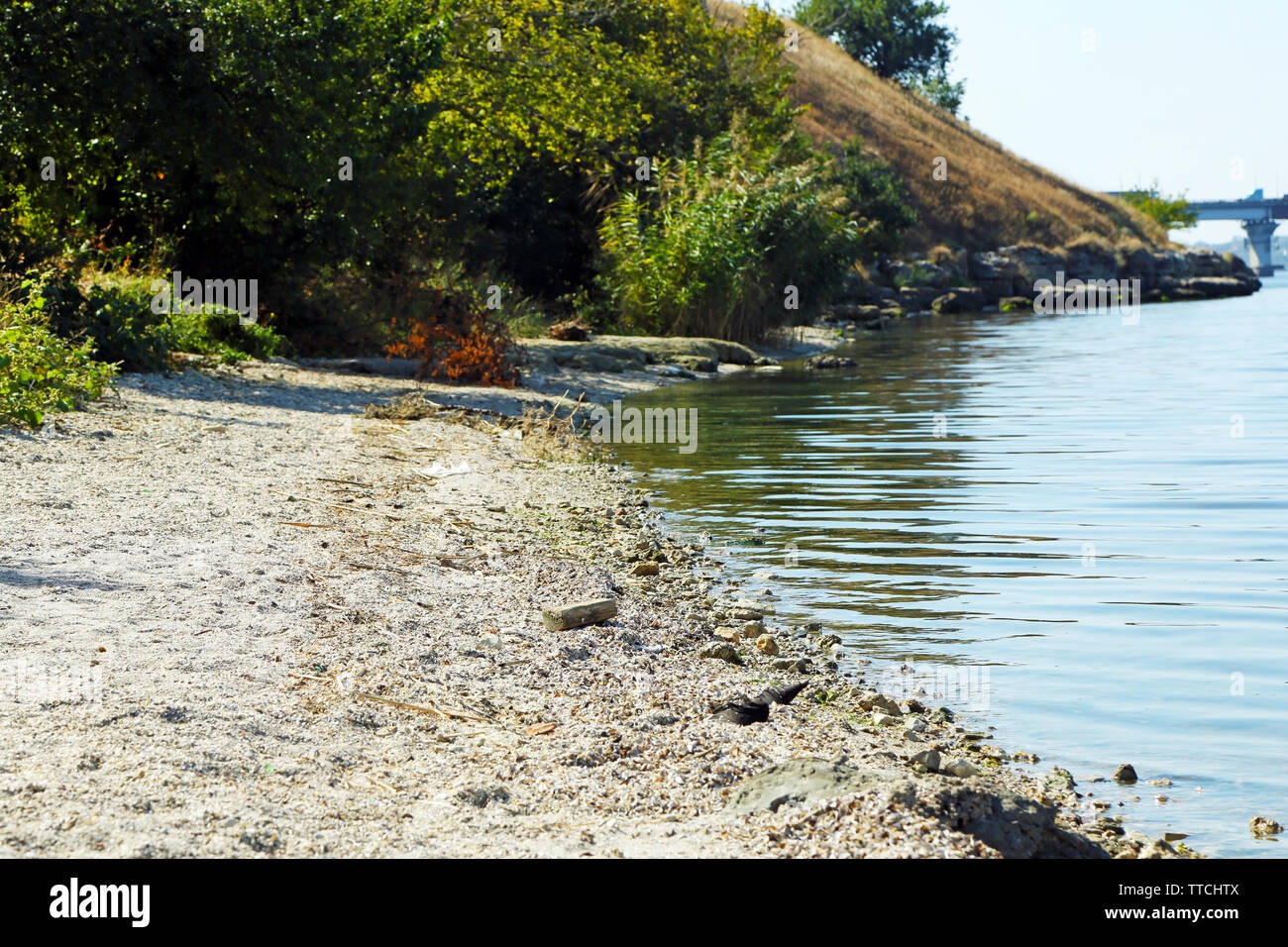 Beach of river Stock Photo - Alamy