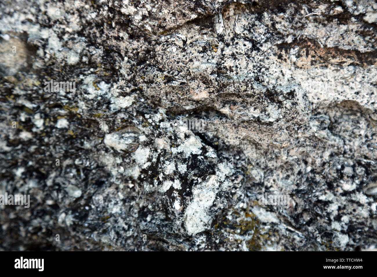 Rock texture background closeup Stock Photo - Alamy