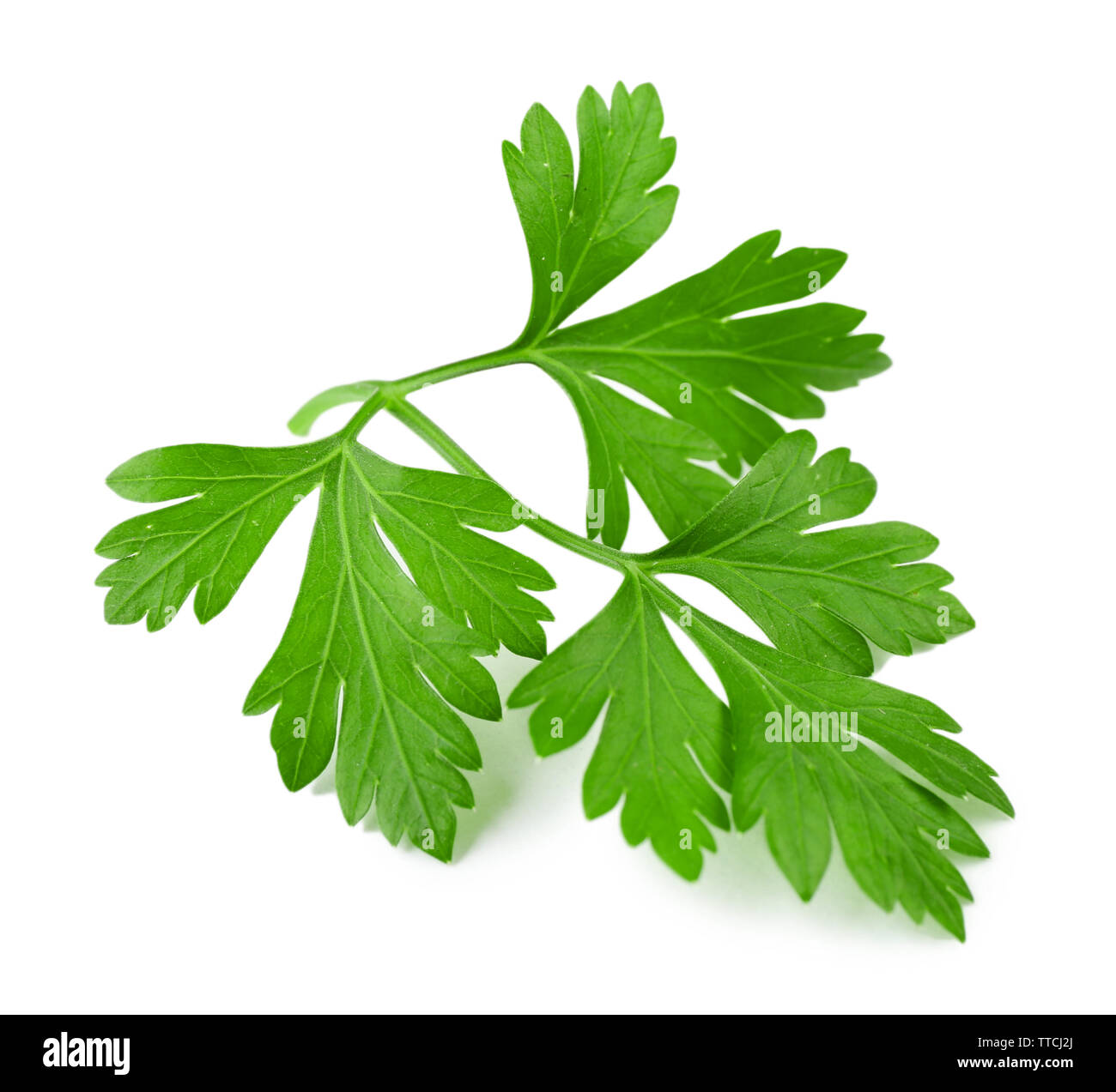 Fresh parsley isolated on white Stock Photo - Alamy