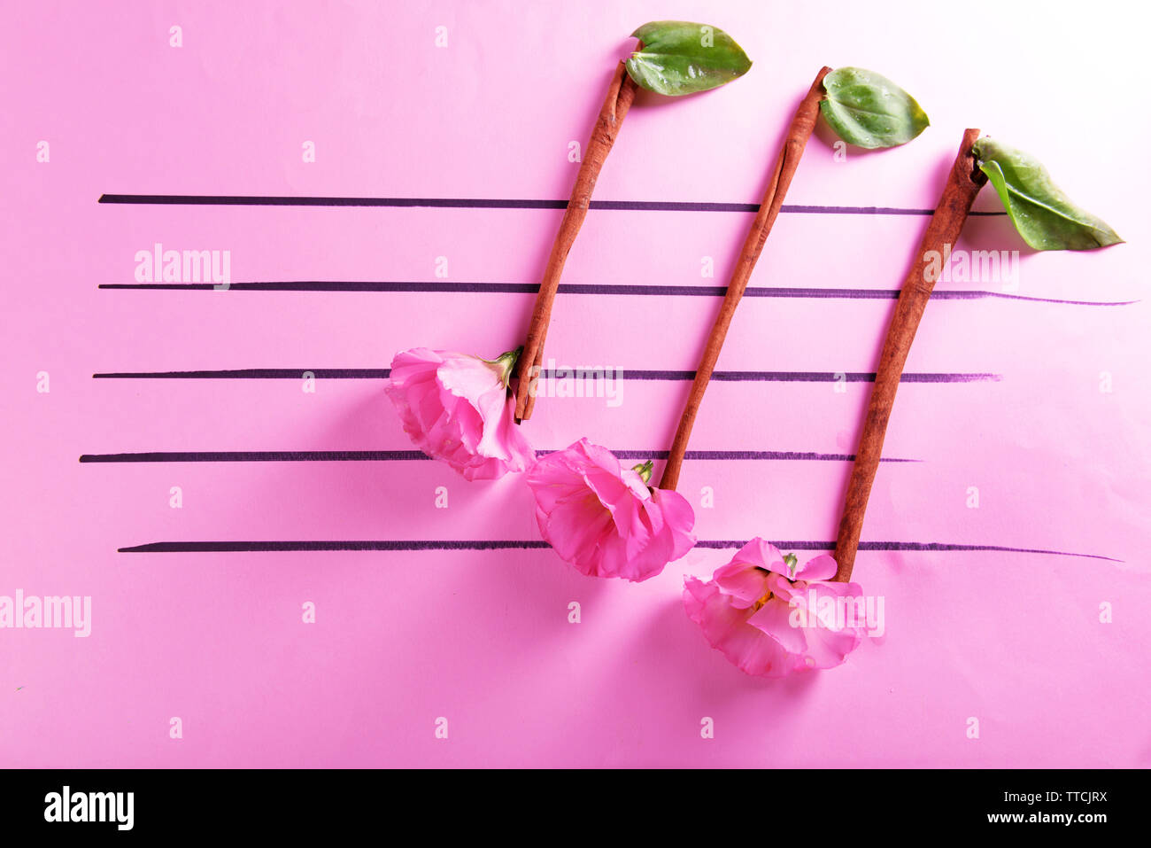 Creative music notes made of flowers on pink background Stock Photo - Alamy