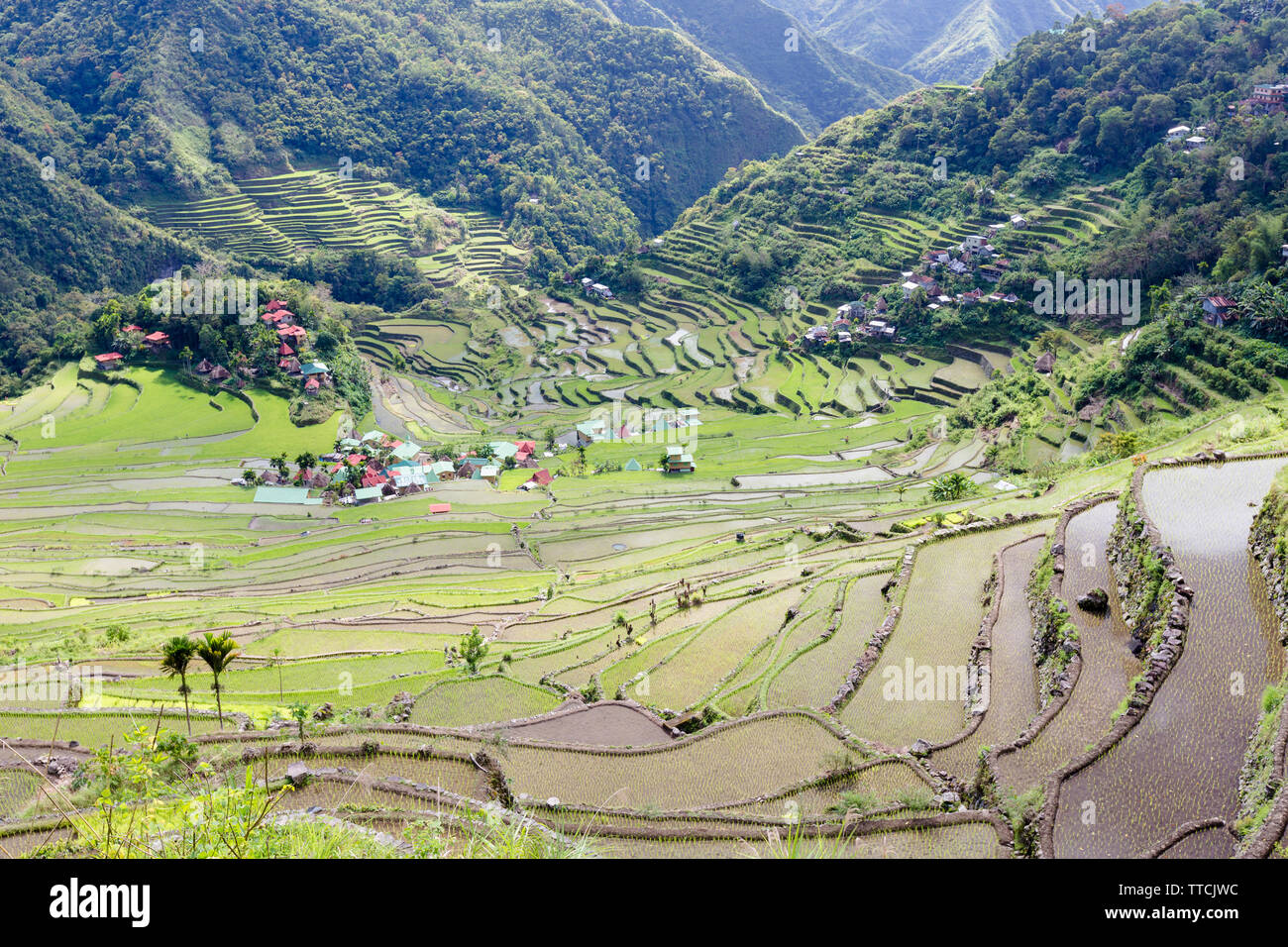 Batad rice terraces, near Banaue, Philippines Stock Photo - Alamy