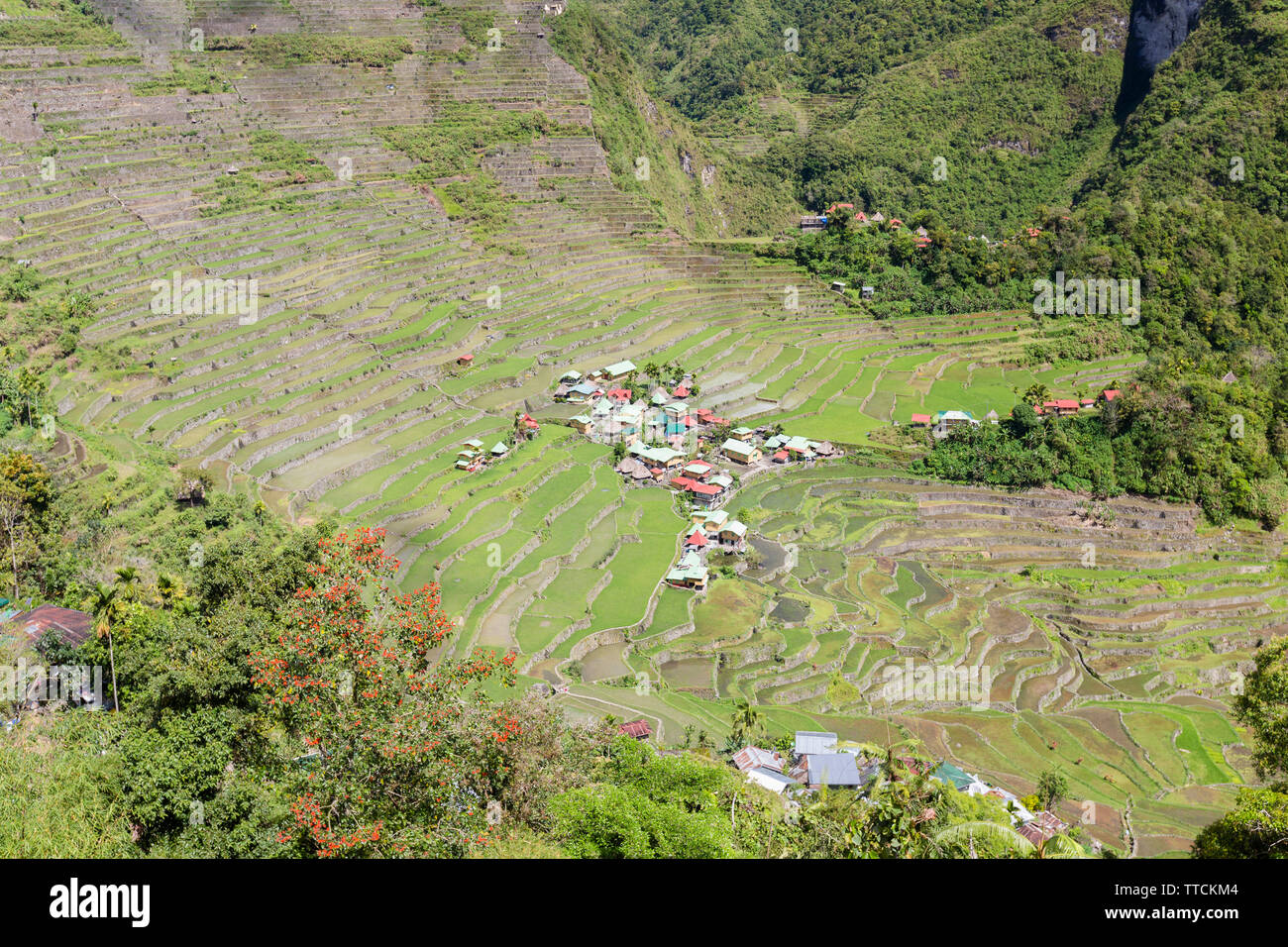 Batad rice terraces, near Banaue, Philippines Stock Photo - Alamy