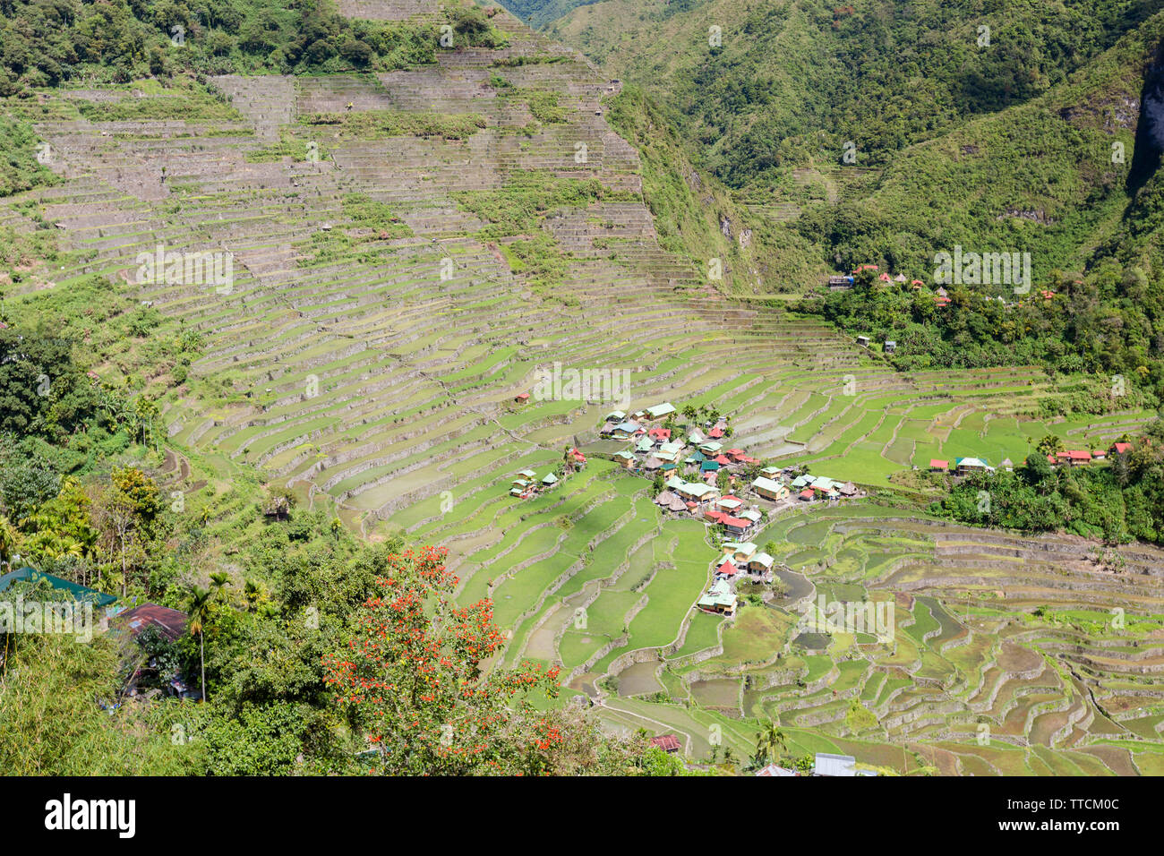 Batad rice terraces, near Banaue, Philippines Stock Photo - Alamy