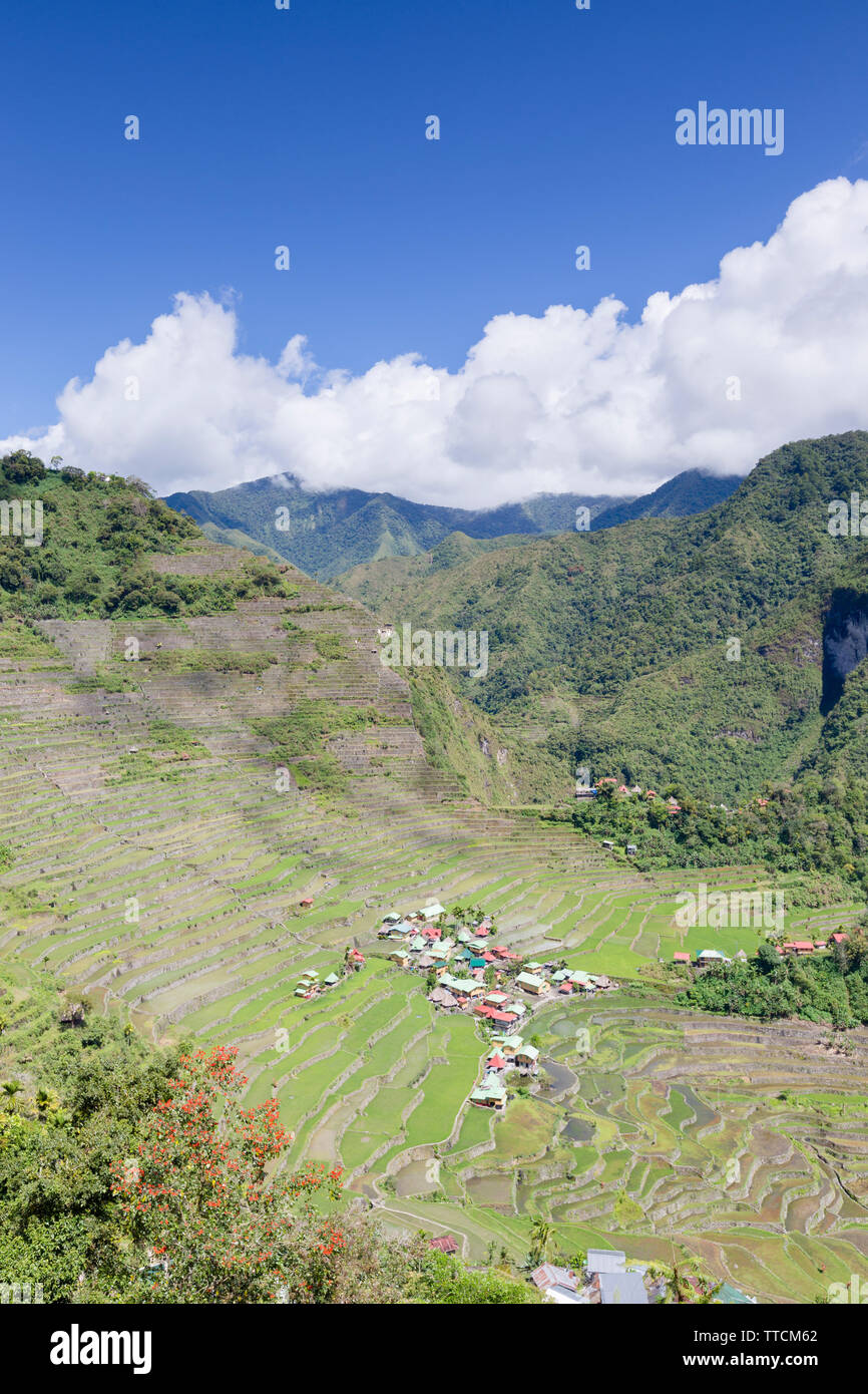 Batad rice terraces, near Banaue, Philippines Stock Photo - Alamy