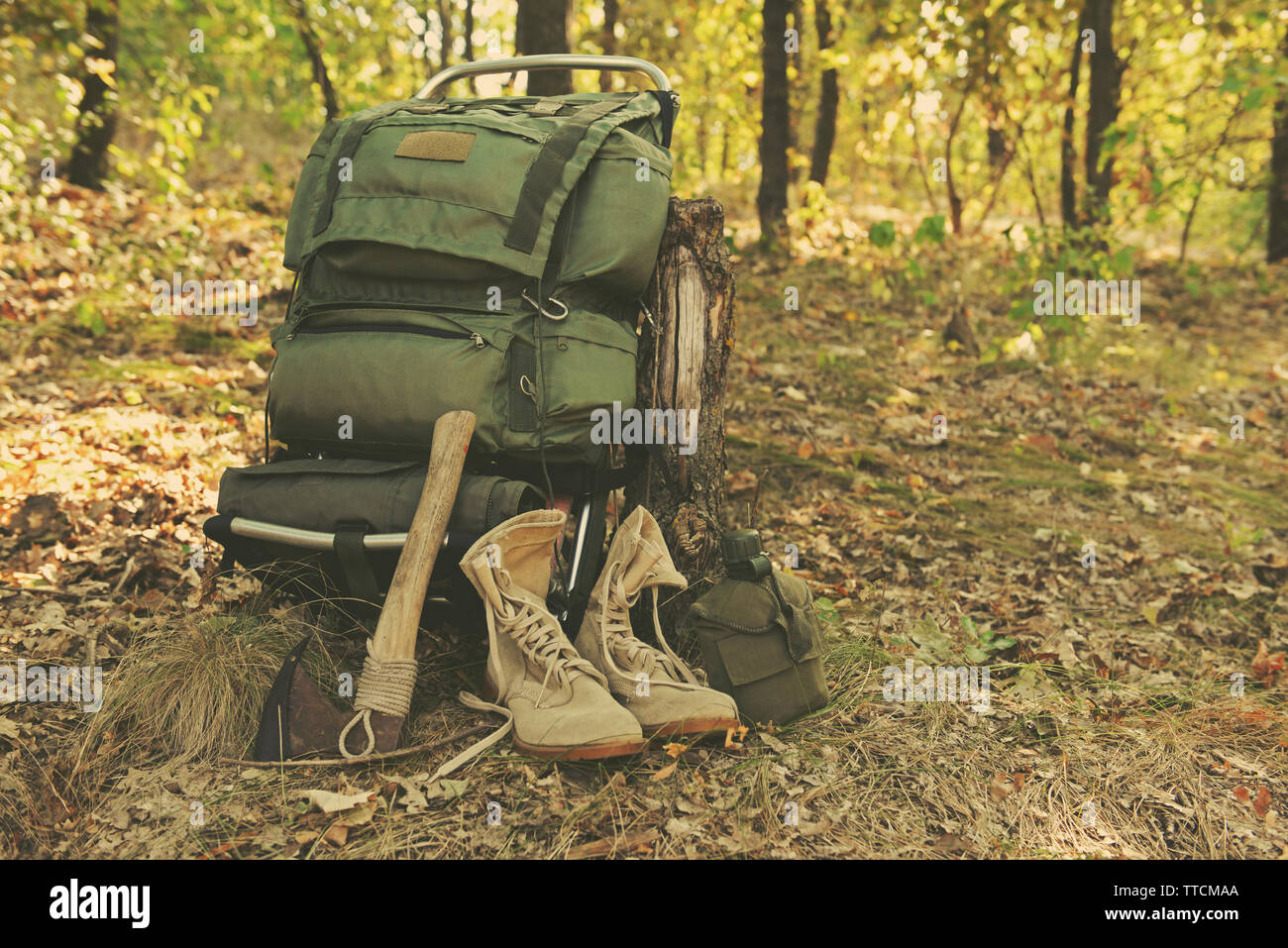 Tourist equipment in the forest Stock Photo - Alamy