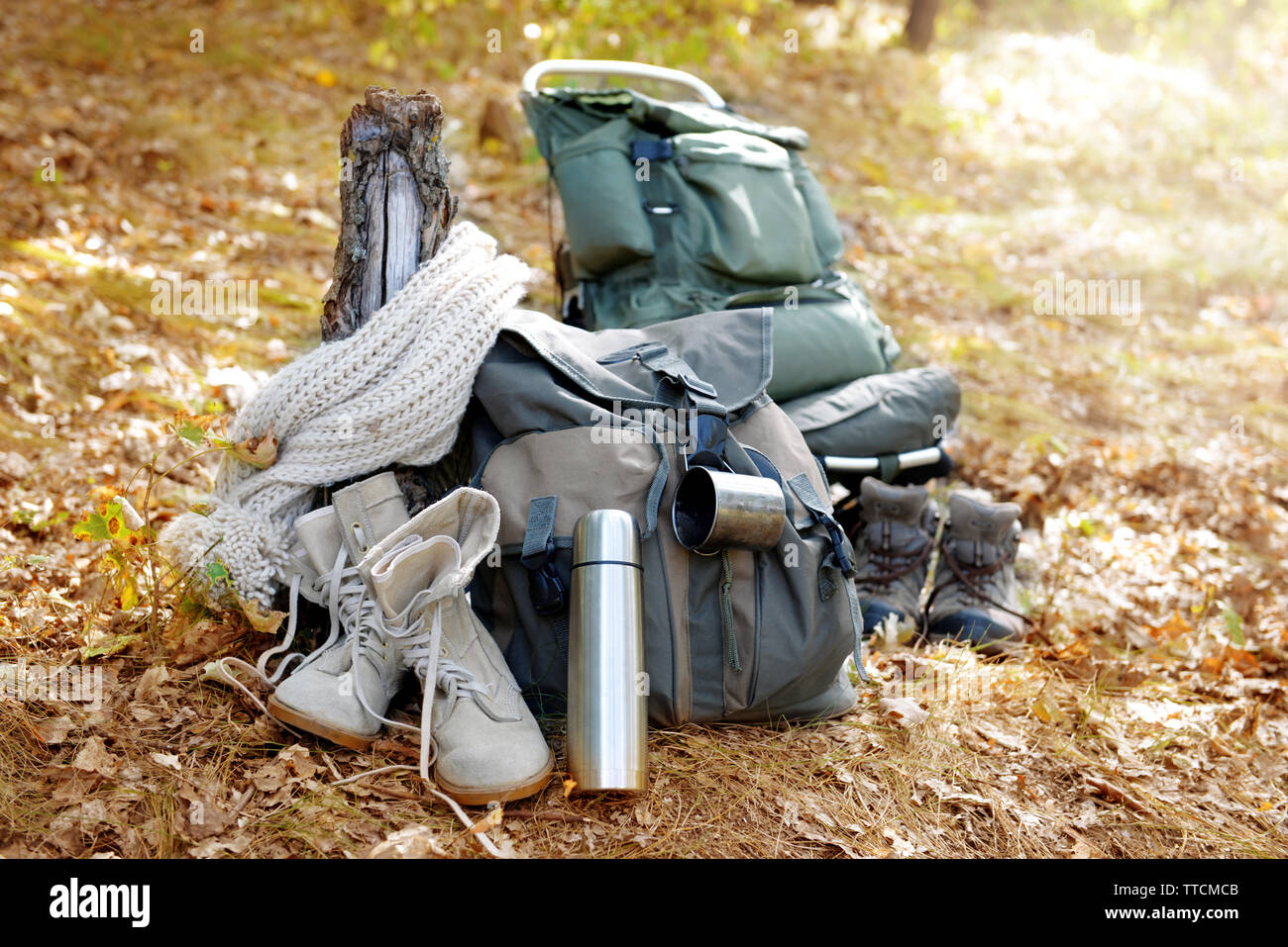 Tourist equipment in the forest Stock Photo - Alamy