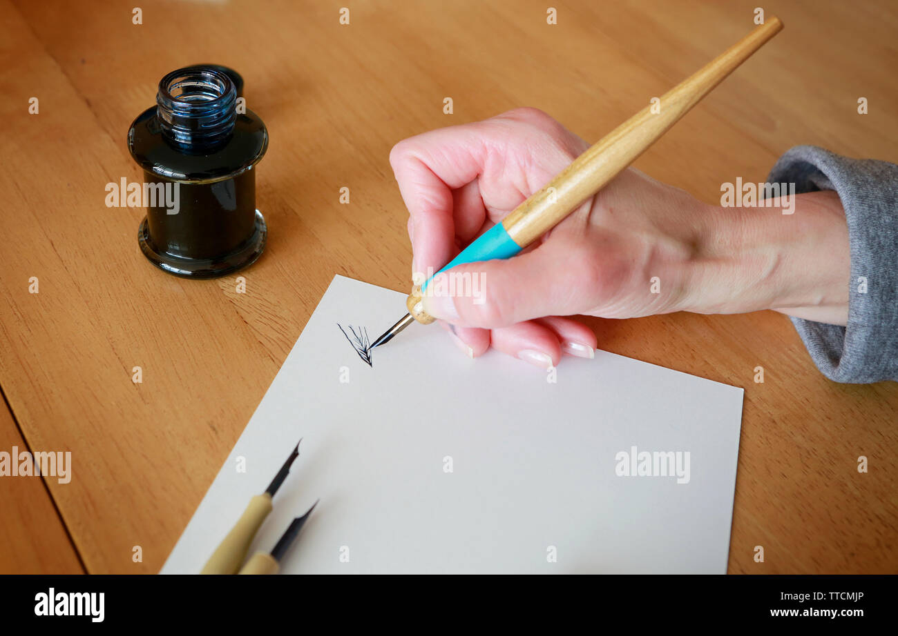 Drawing with dip pan and ink. Hand of woman artist performing drawing ...