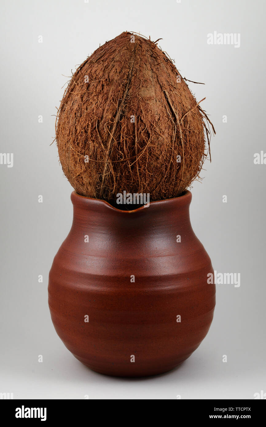 installation of coconut and ceramic pot on white background Stock Photo ...