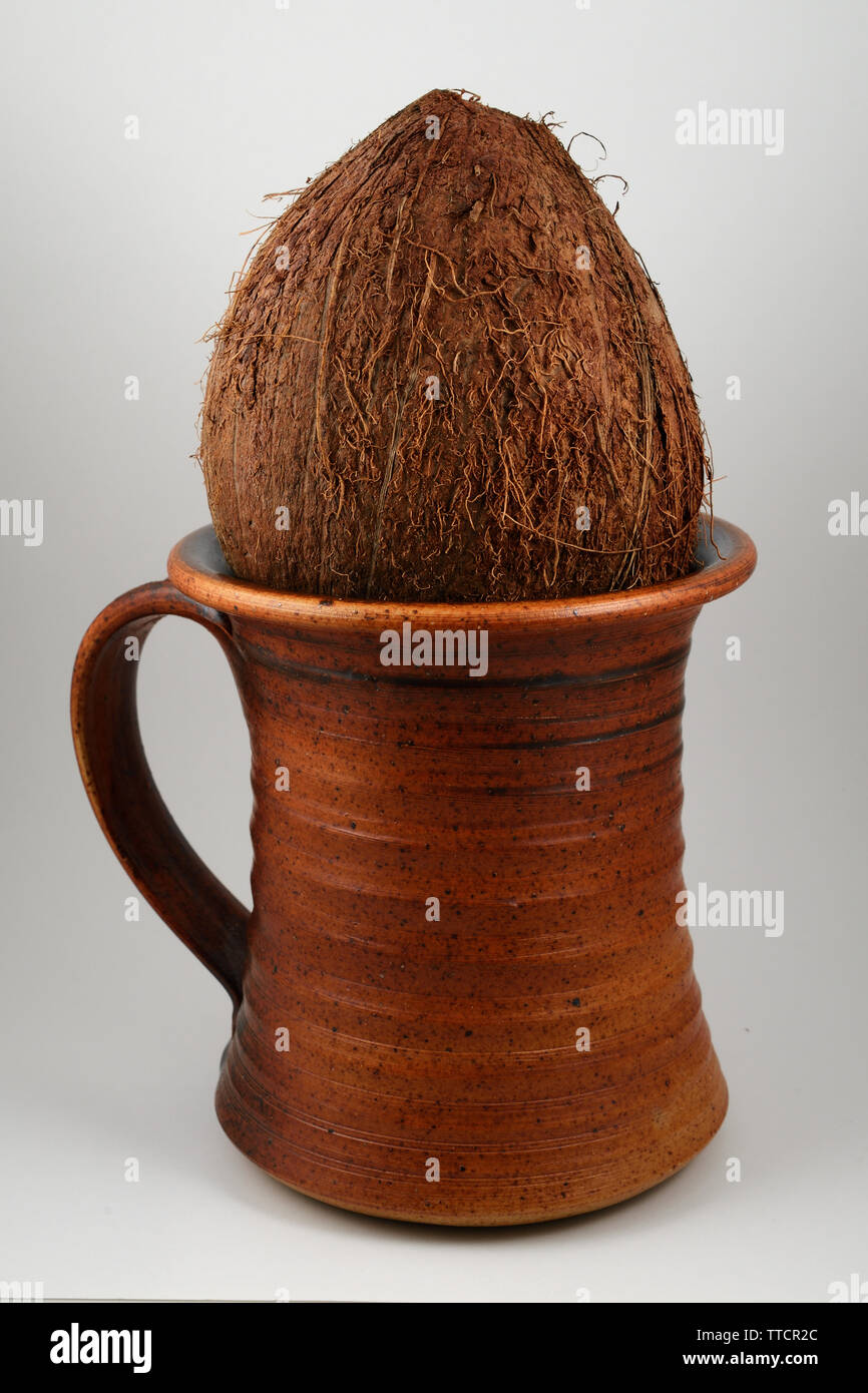 installation of coconut and ceramic pot on white background Stock Photo ...