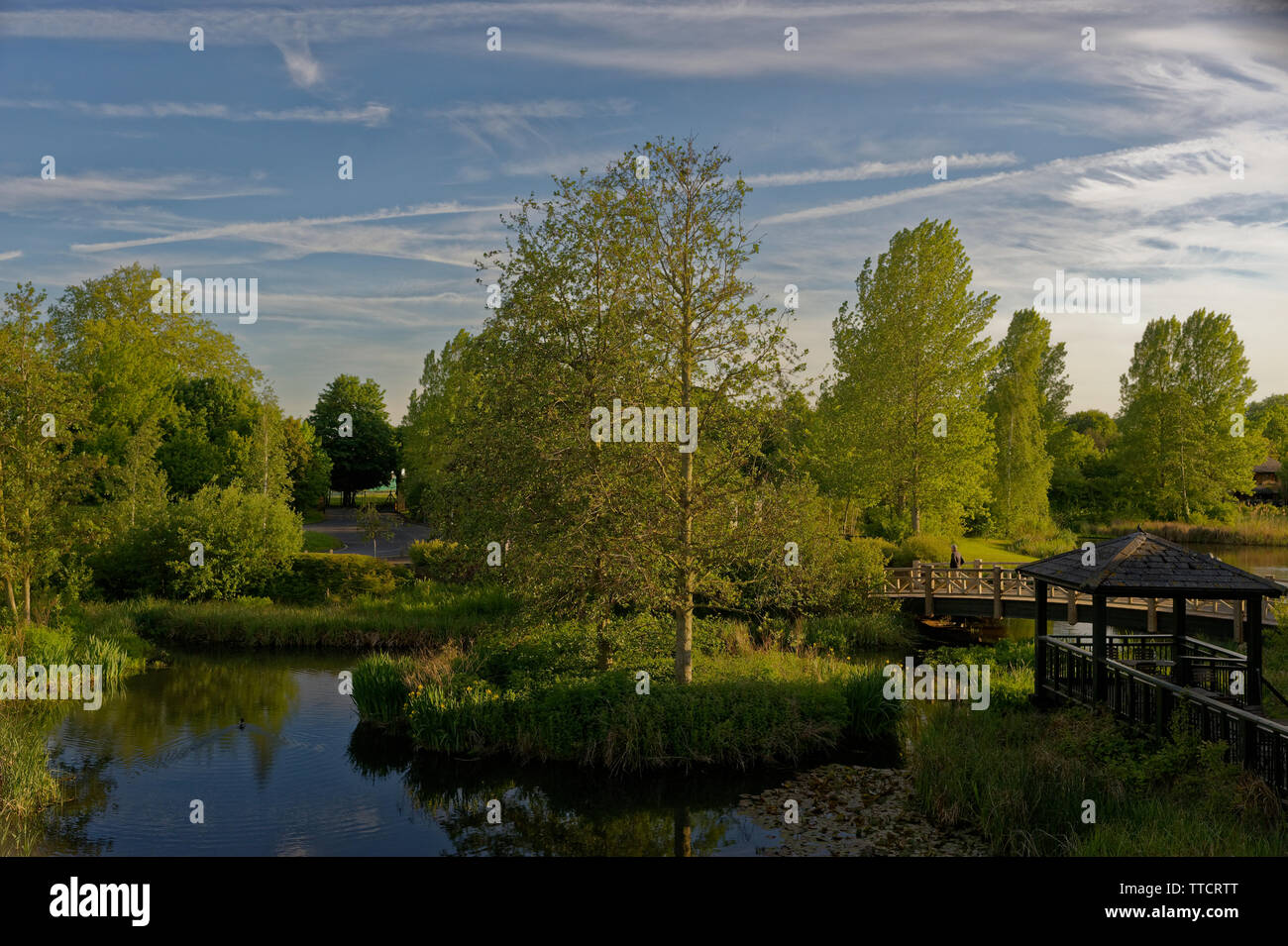 Barnes wetlands summer hi-res stock photography and images - Alamy