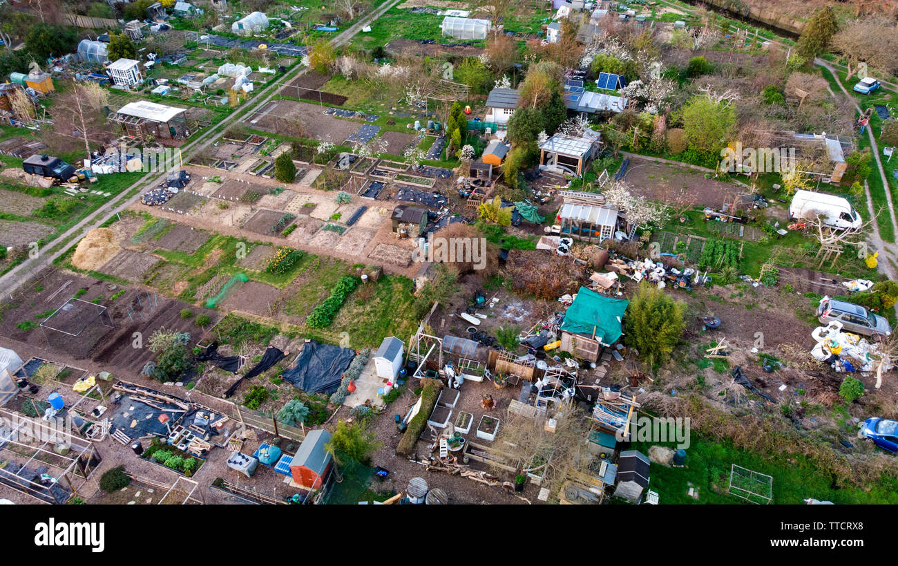 Cole park allotments hi-res stock photography and images - Alamy