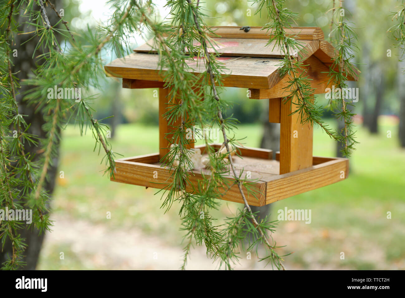 Bird feeder house with bird food, outdoor Stock Photo - Alamy