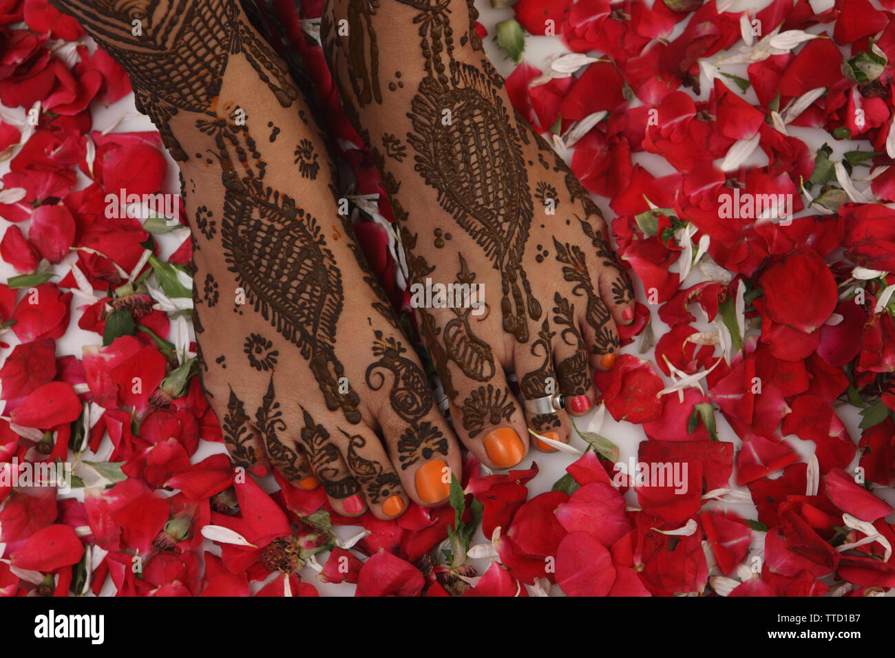 Close up of a woman feet decorated with mehendi Stock Photo - Alamy
