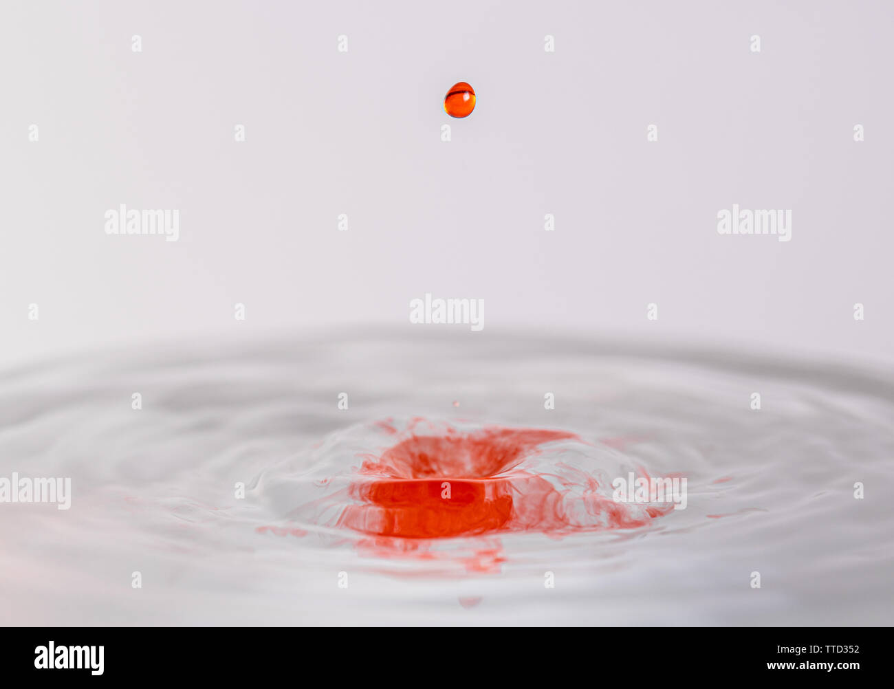 Close up macro photography of a red water, resembling blood, drop ...