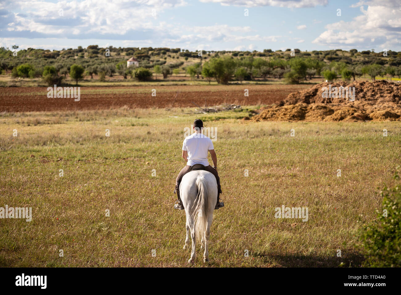 Back view style video game of young man riding a horse in the field ...
