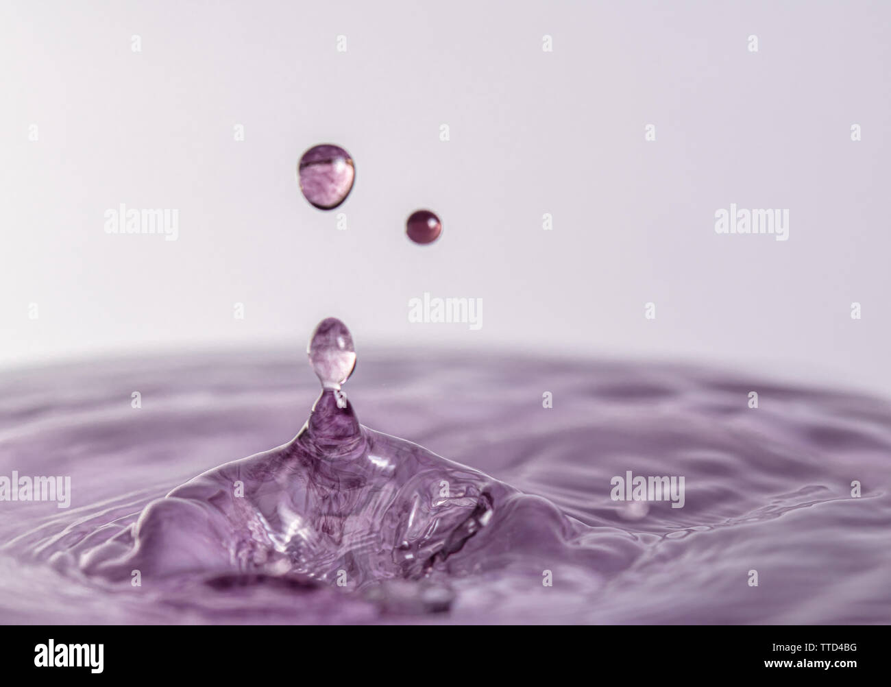 Close up macro photography of a purple water drop splashing into water ...
